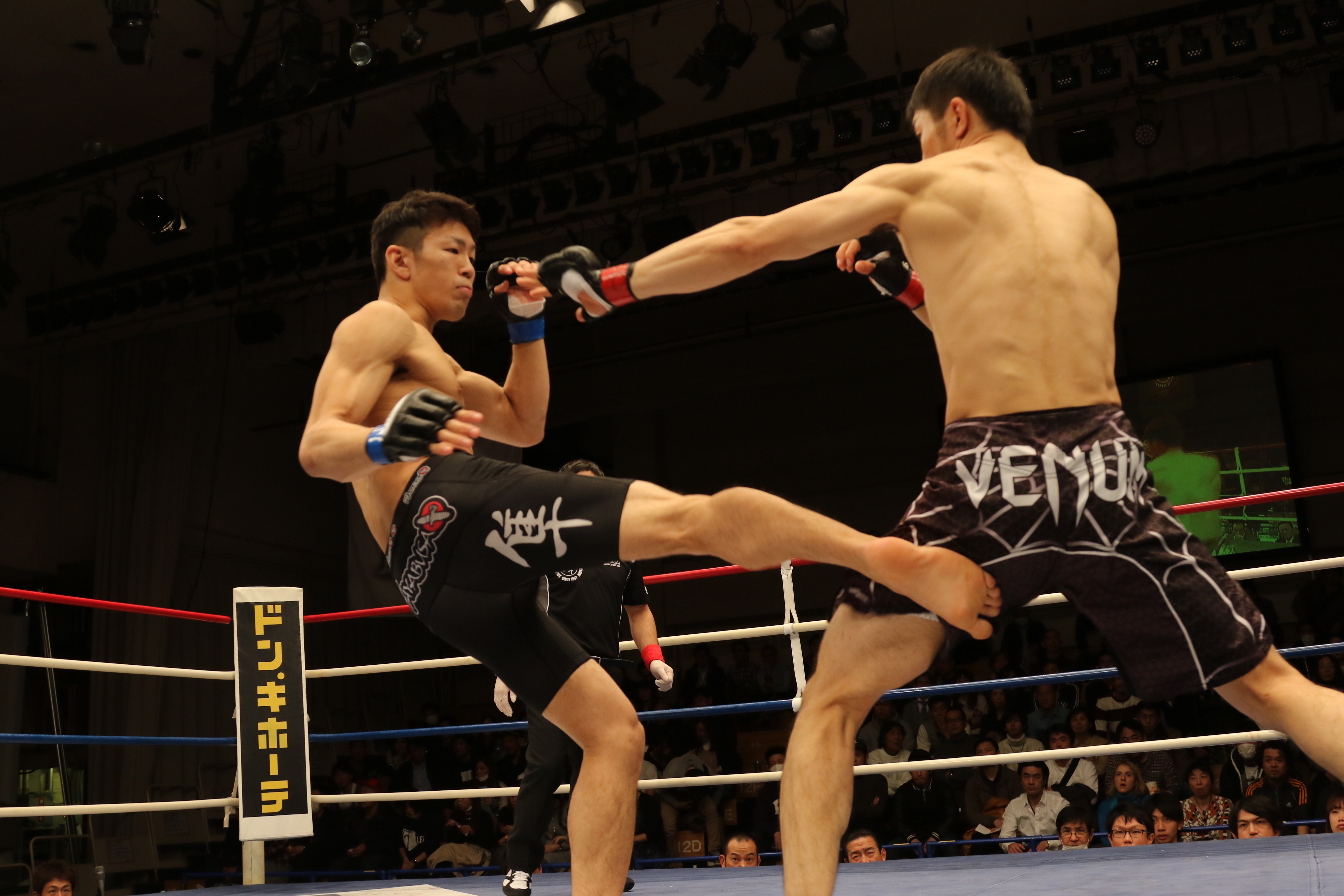 Mma Mixed Martial Arts Japan free image download
