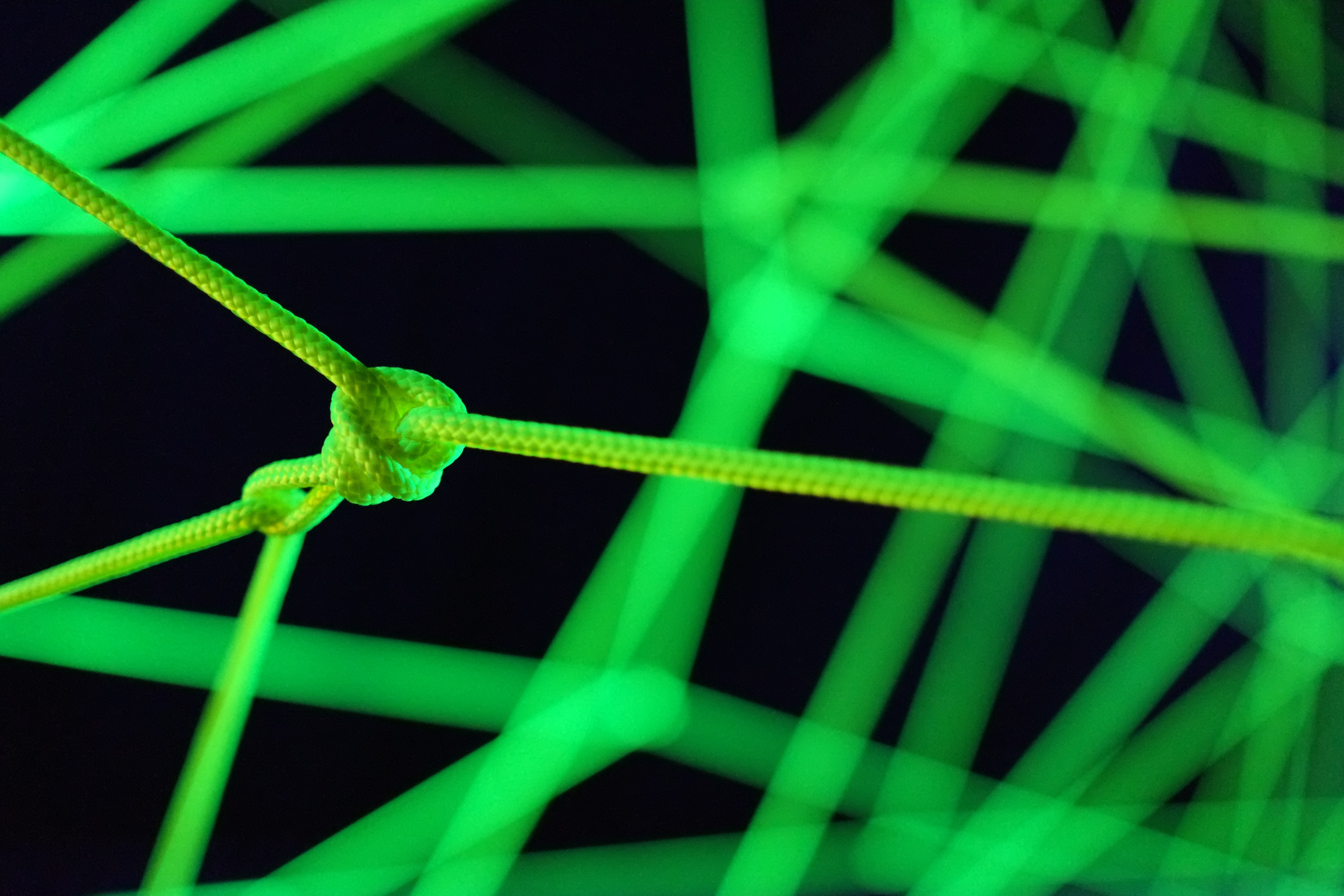 Elastic Green Black free image download