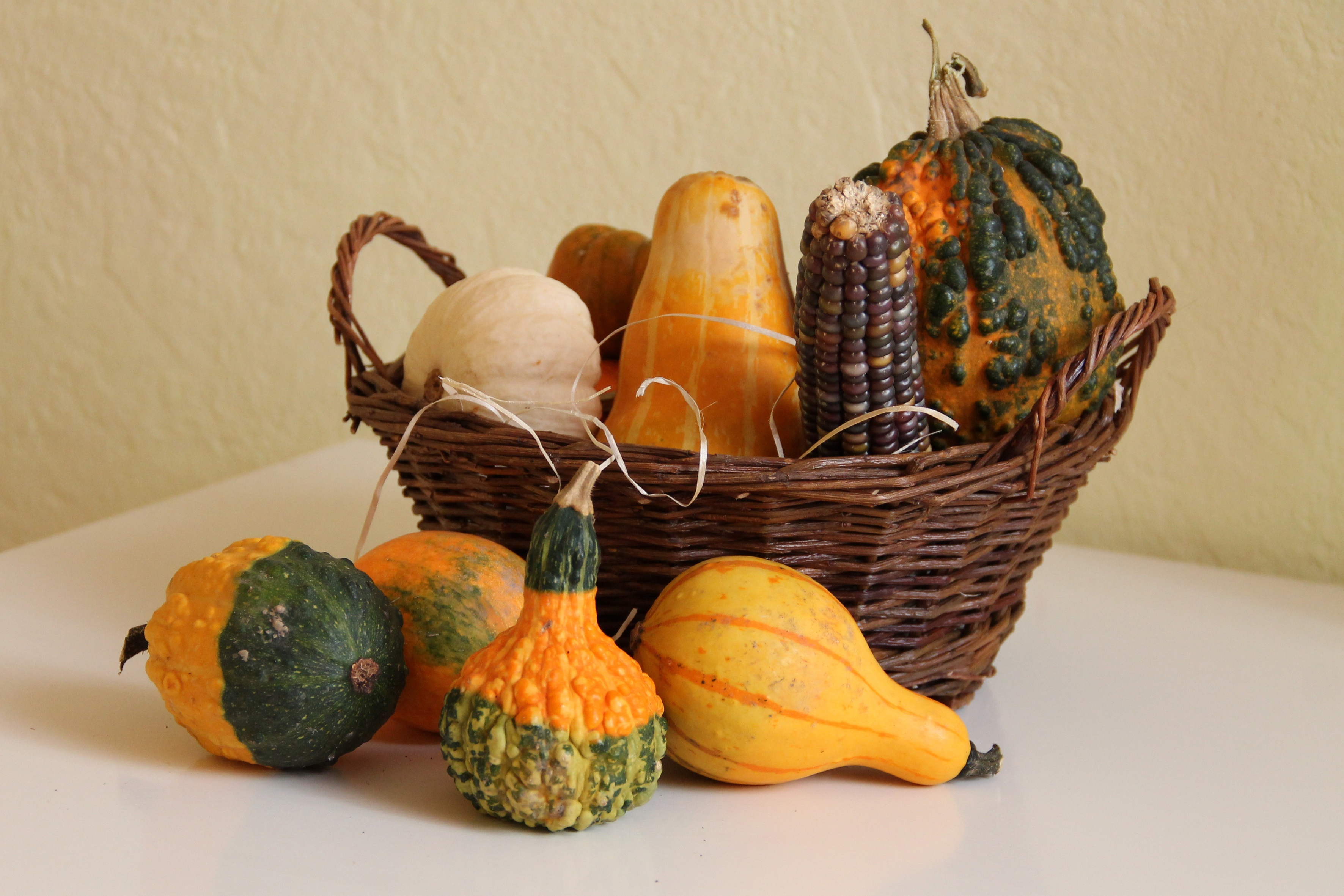 Decorative Squashes Pumpkin Crop free image download