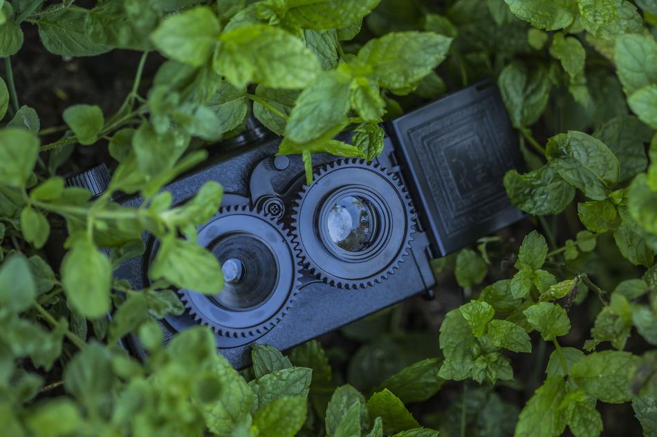 Camera Mint Toy free image download