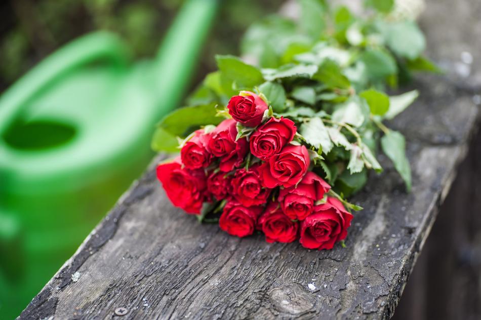 Bouquet Of Roses Lying Red free image download