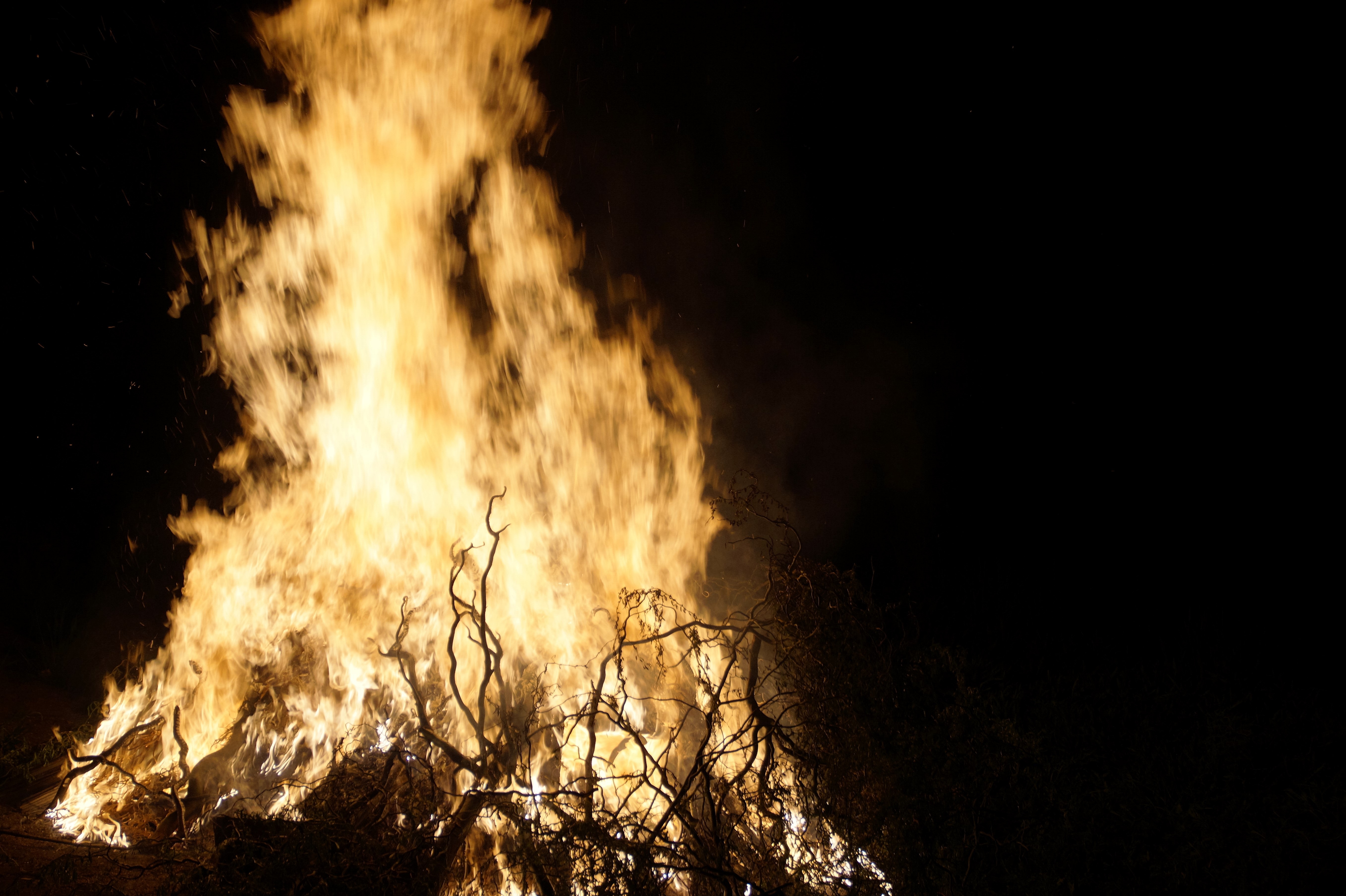 Fire Burning Bonfire free image download