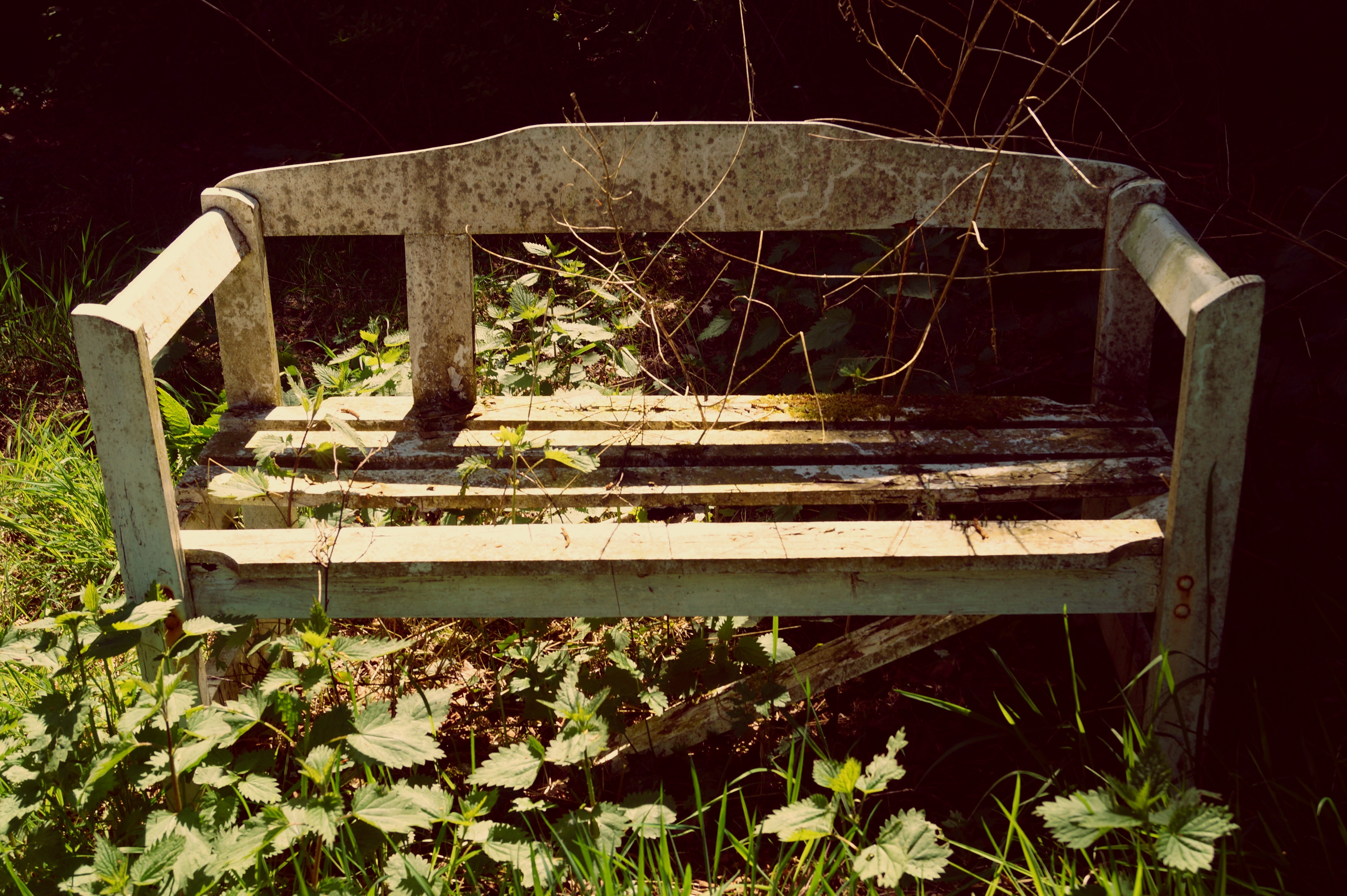 Bank Bench Wooden free image download