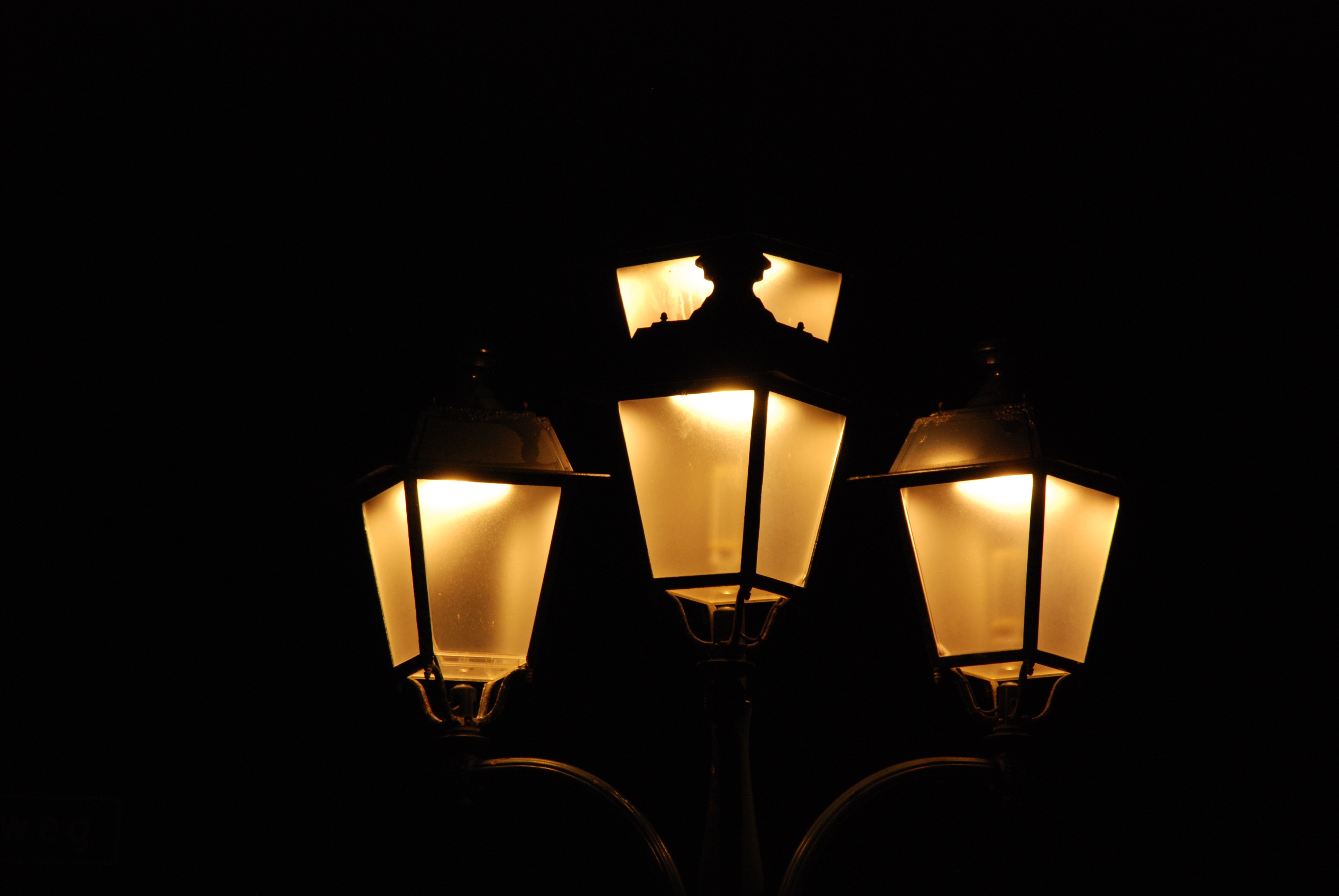 Night Evening Light free image download