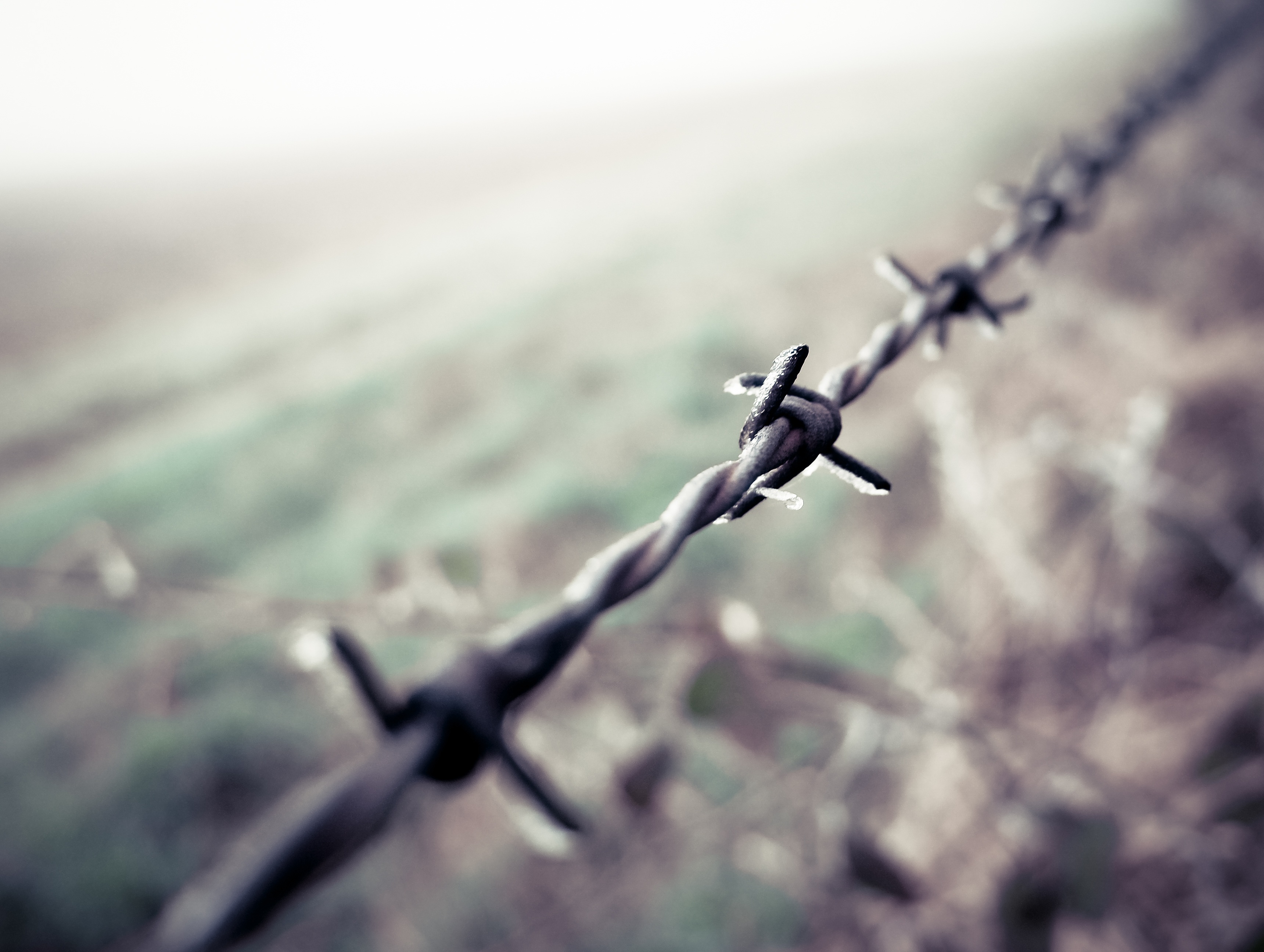 Barbed Wire Field Winter Depth Of free image download