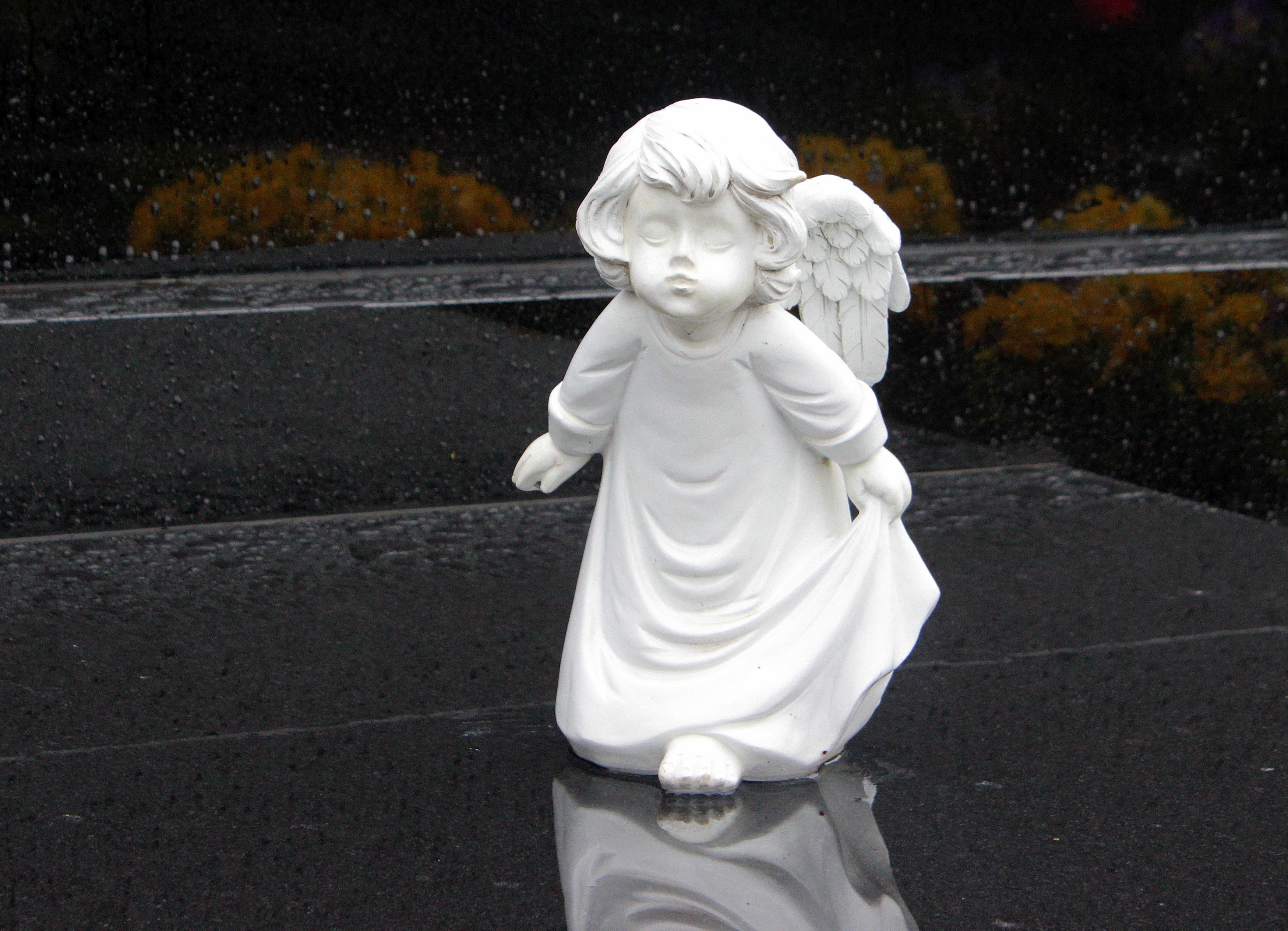 Angel Face Wings free image download