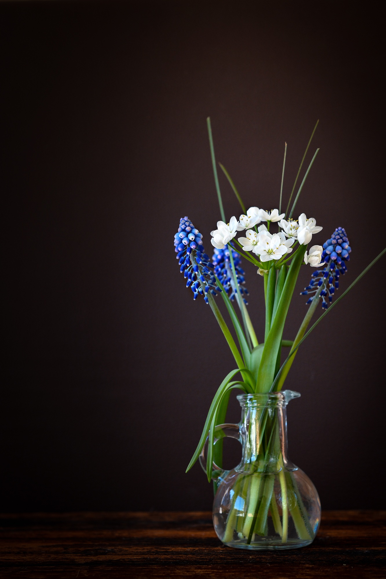Flowers Vase Glass Leek free image download