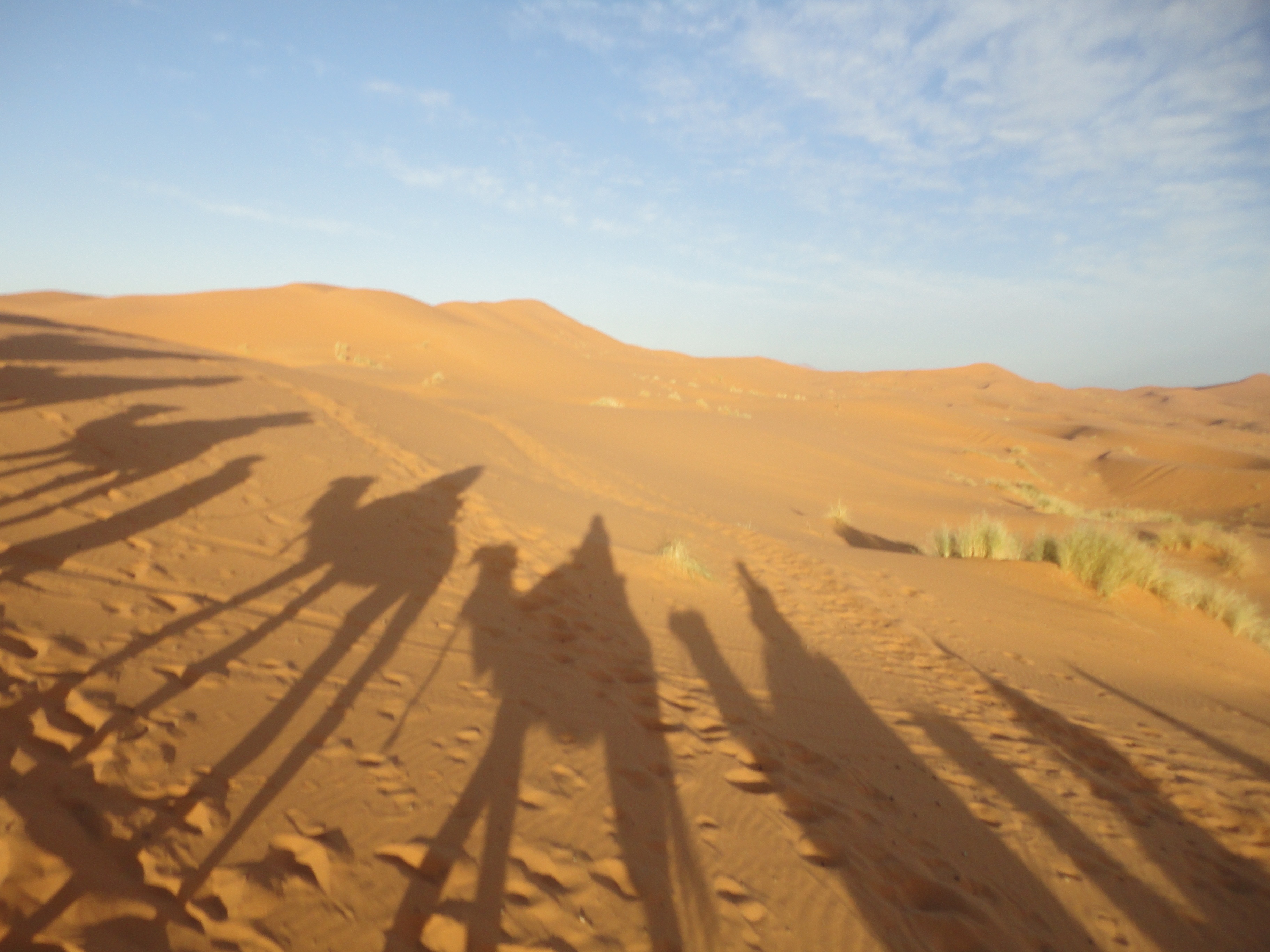 Sahara Desert Sand Shadow free image download