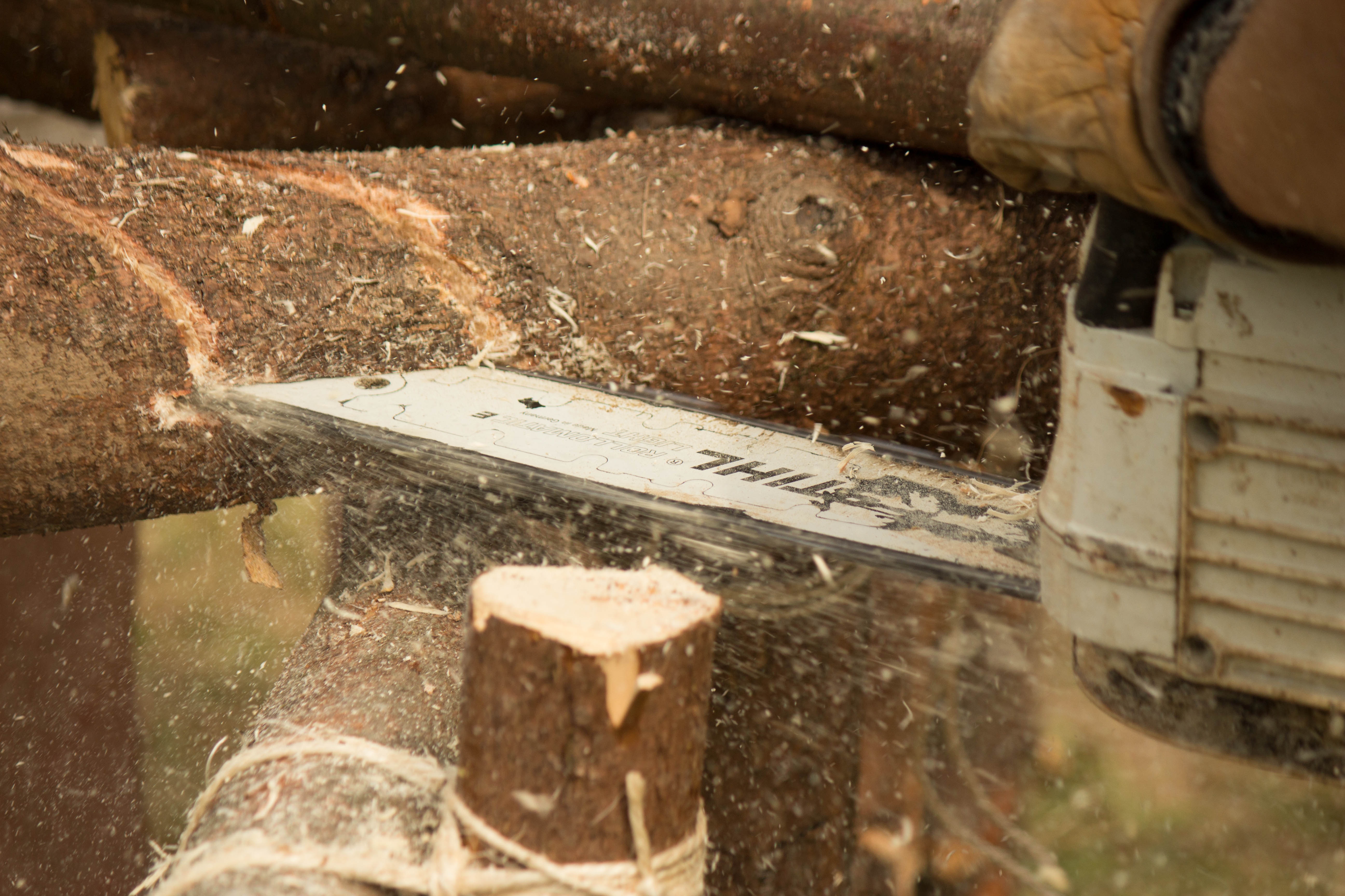 Chainsaw Woodcutter Wood free image download