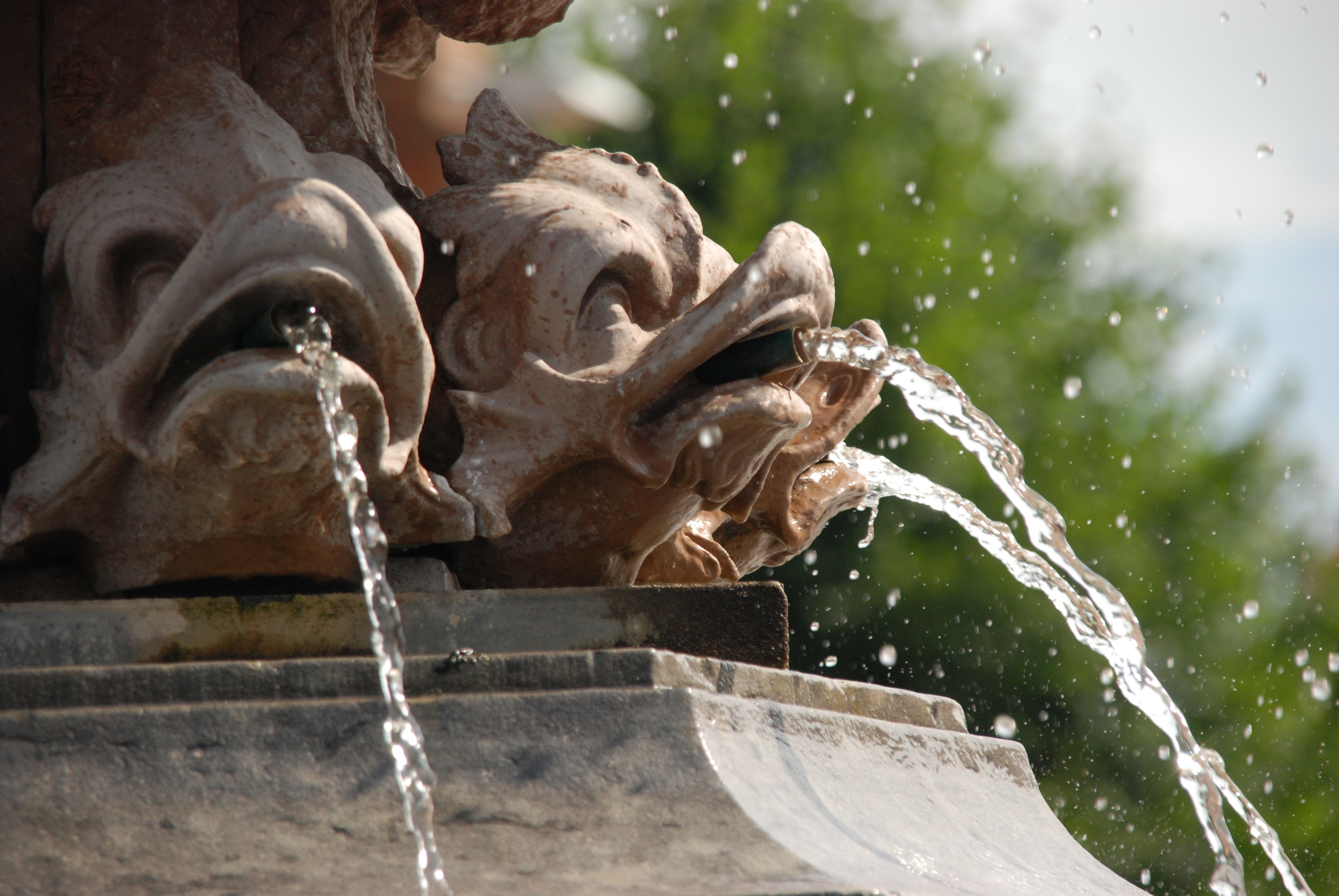 Image Fountain Fish free image download