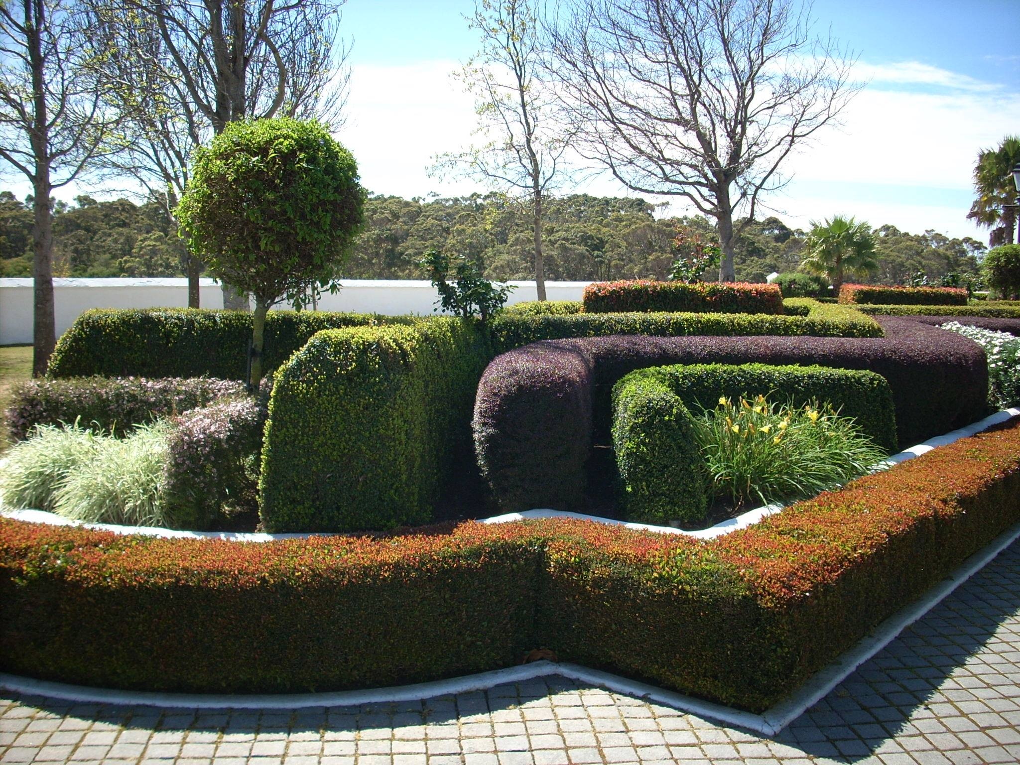 Garden Hedge Topiary free image download