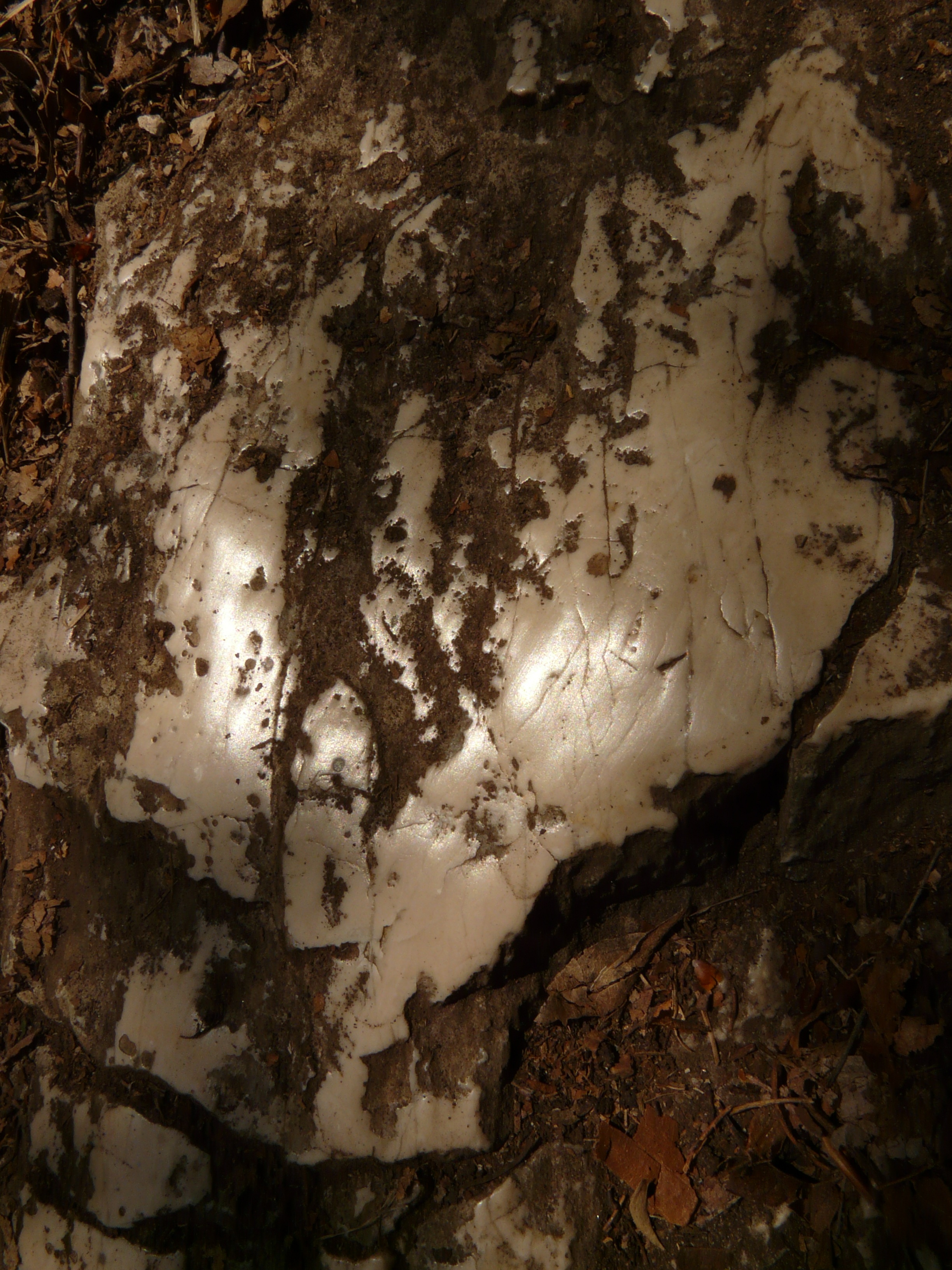 Rock Stone Greasy free image download