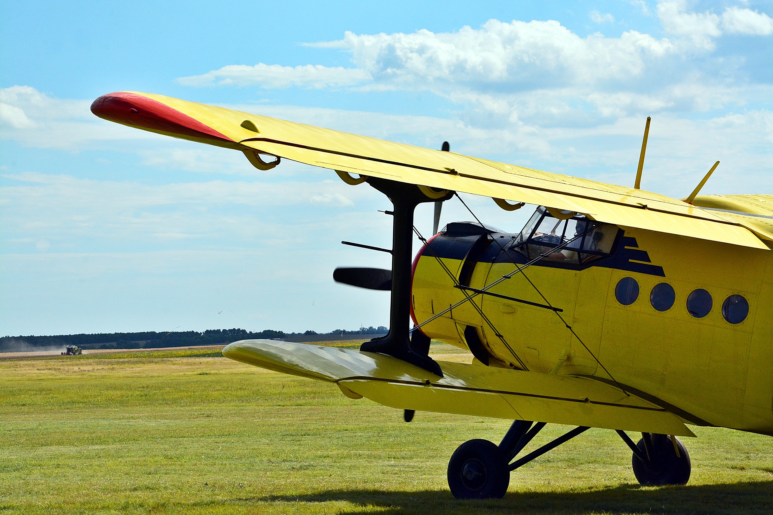 Flying Yellow free image download