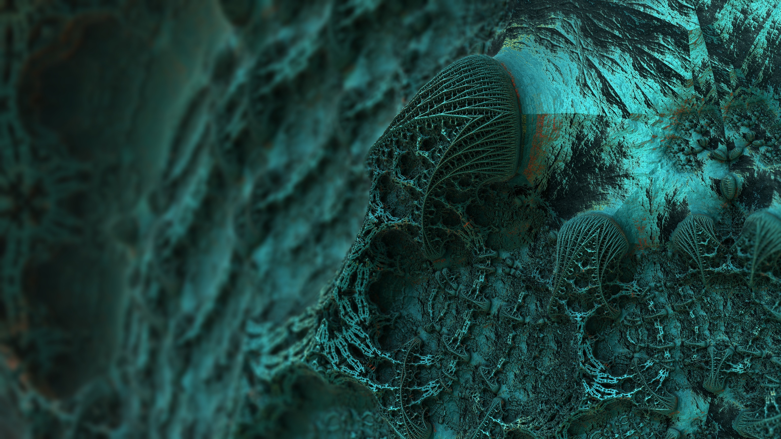 Spore growth mold fungus mould free image download