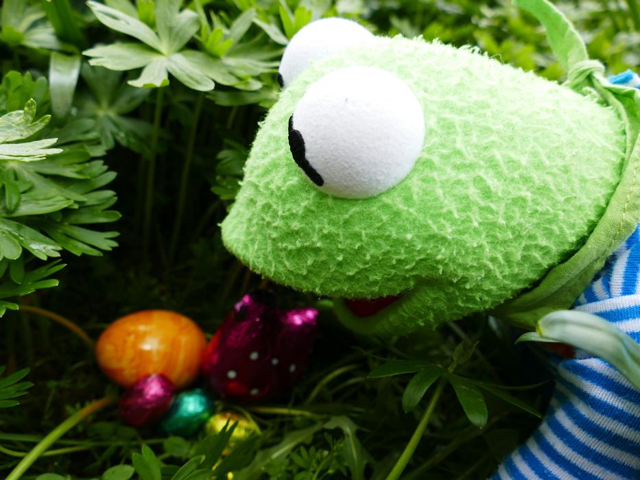 Easter Search Eggs free image download