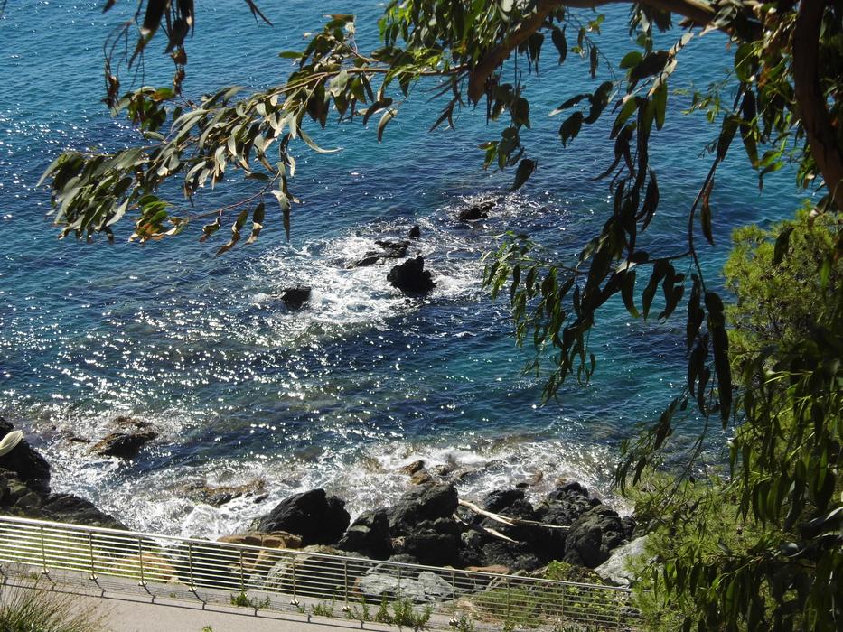Varazze Savona Sea free image download
