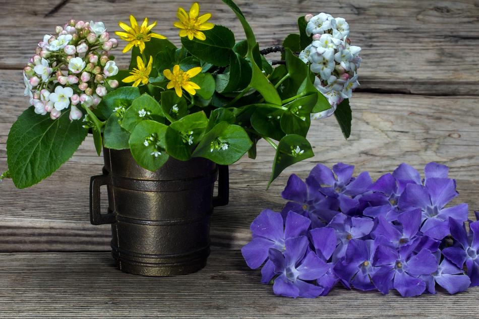 Still Life Flowers Wood Bronze free image download
