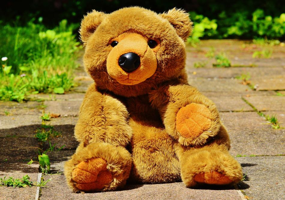 Teddy Bear macro nature free image download