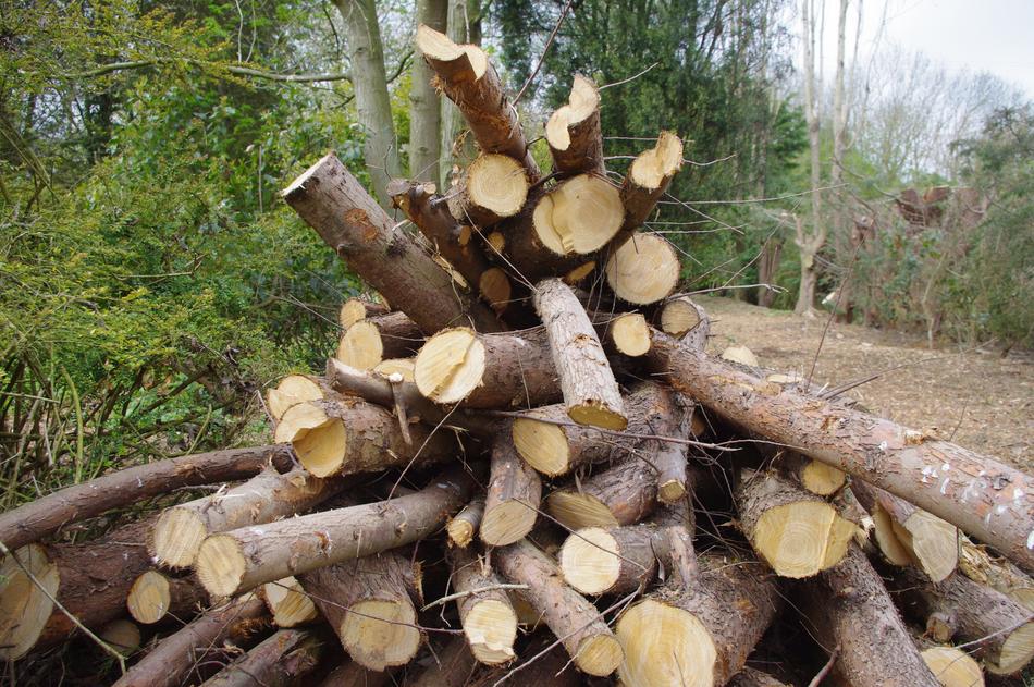 Log Pile Countryside Stack free image download