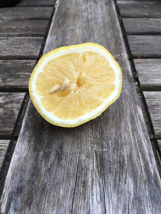 Lemon Yellow Sour free image download