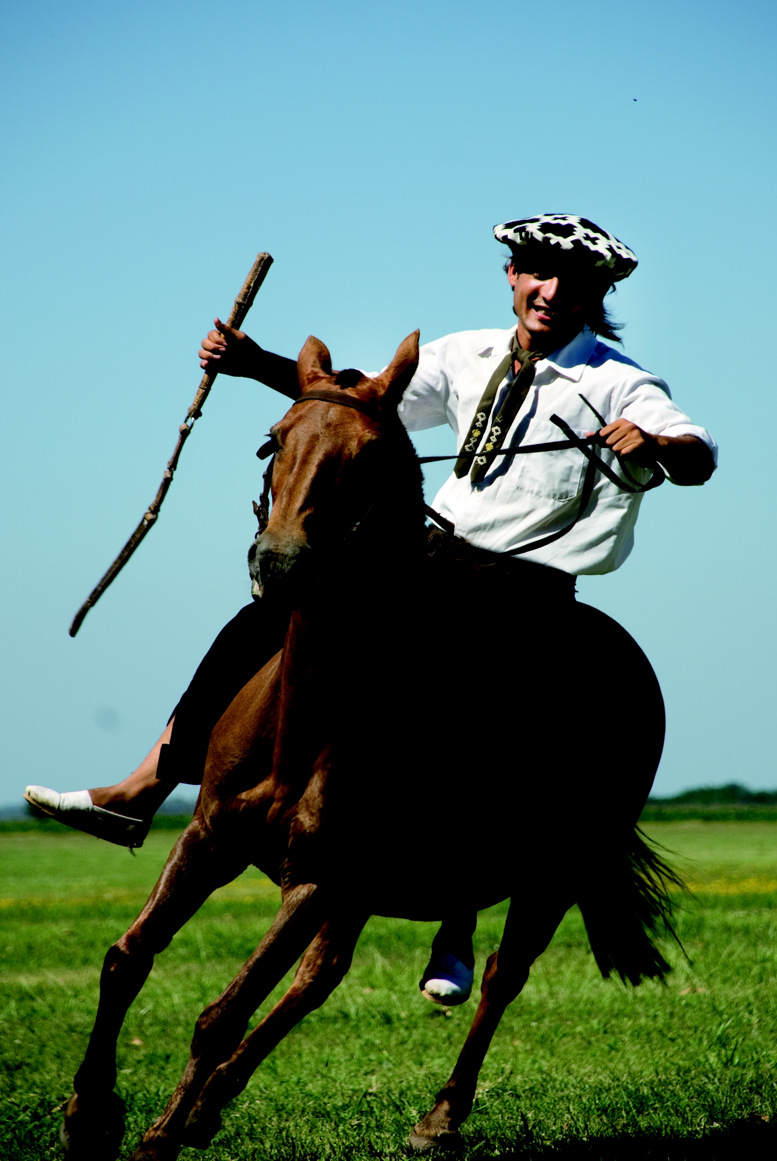 Ride Field Ginete free image download