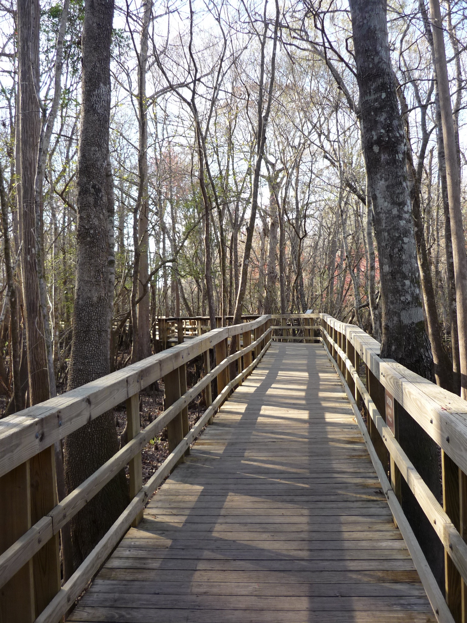 Boardwalk Path Walkway free image download