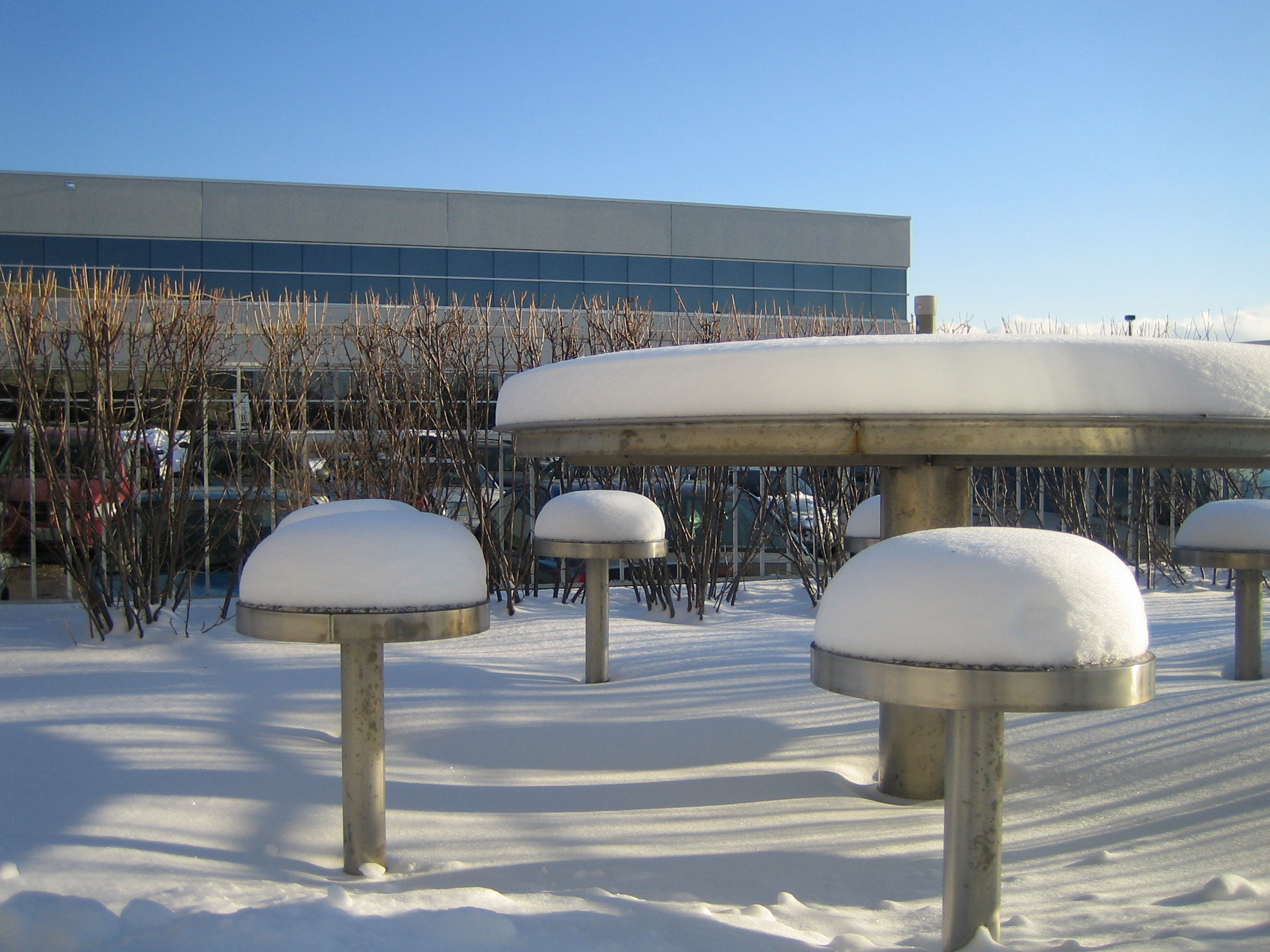 Winter Snow Outside Fun Cold free image download
