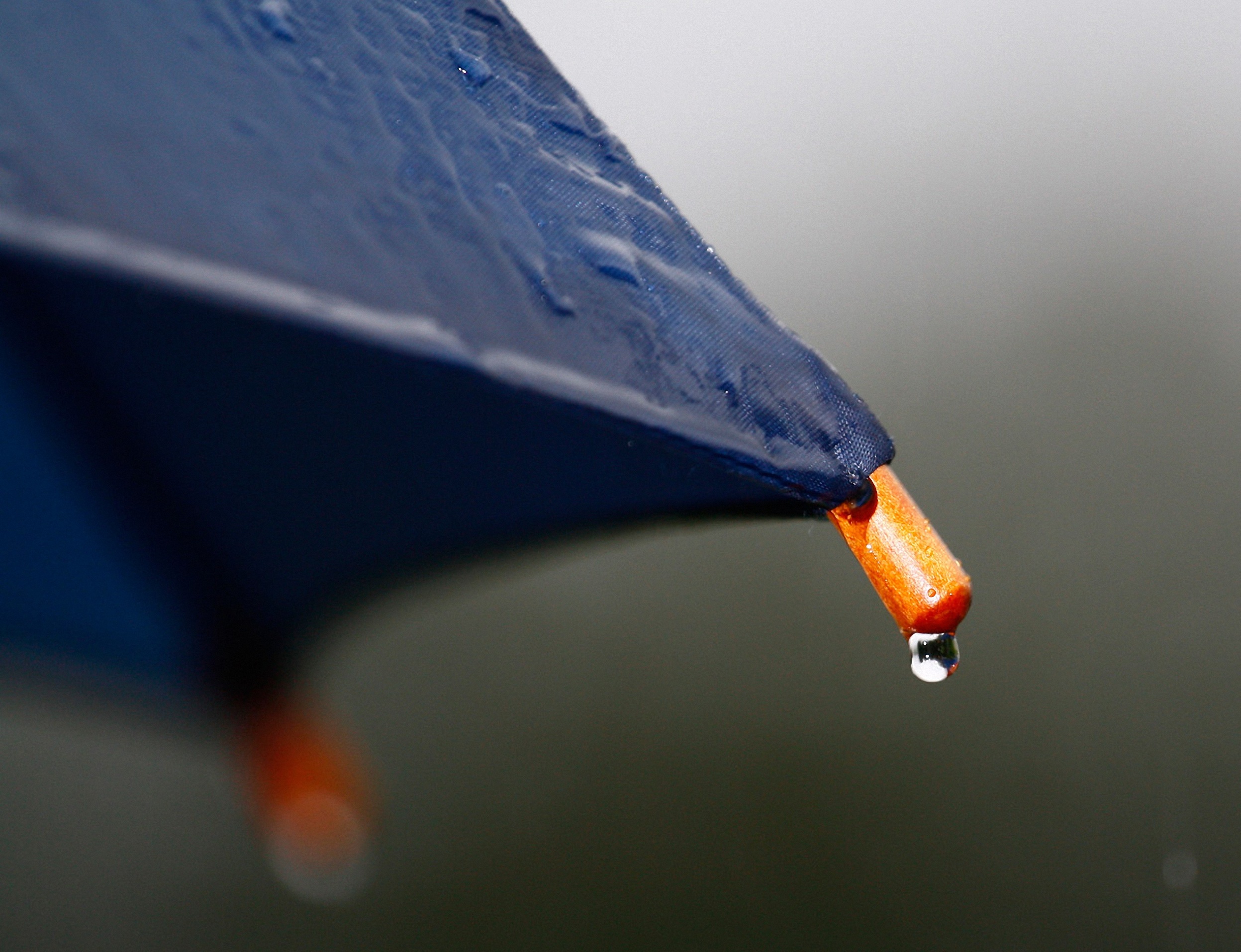 Rain Umbrella Drip free image download