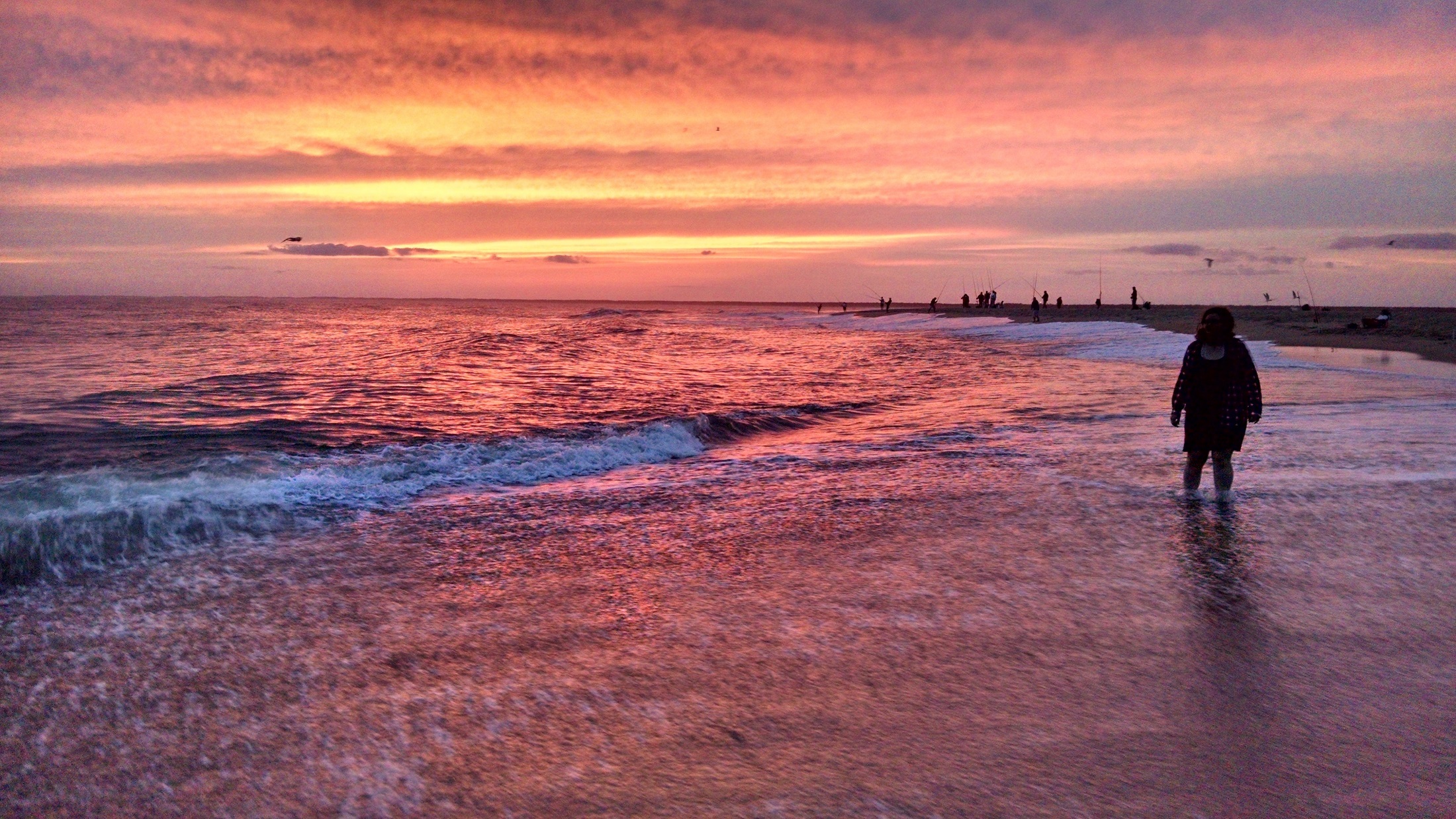 Sunset Coastline Beach free image download