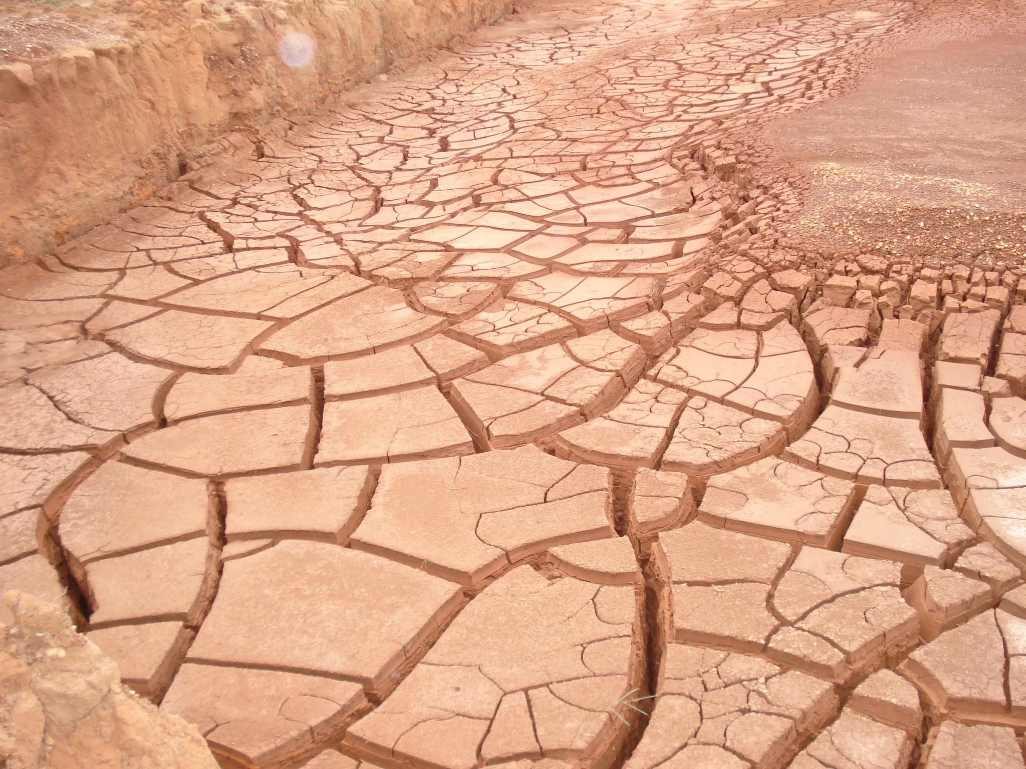 Ground Cracks free image download
