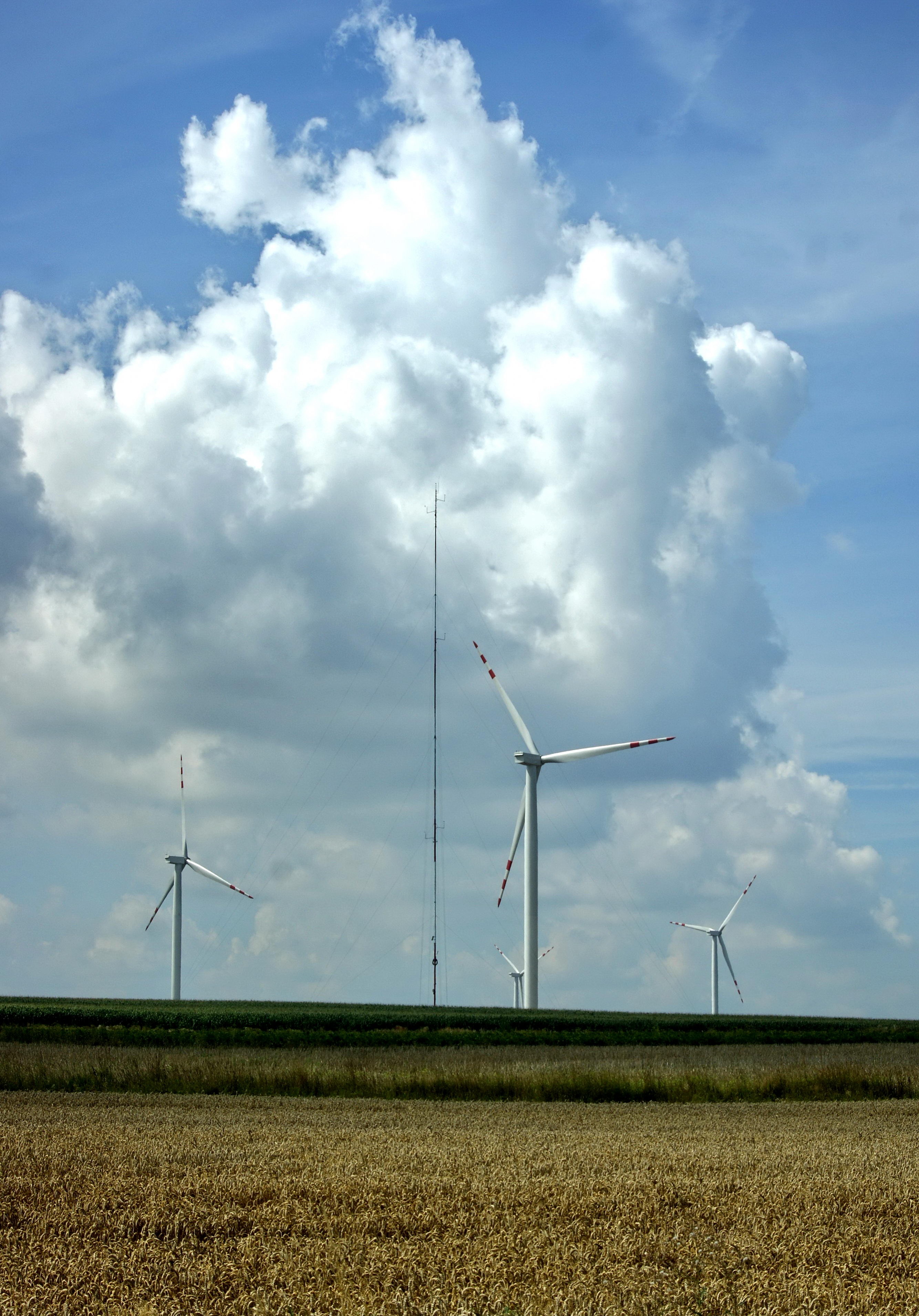 Windmills in the field free image download