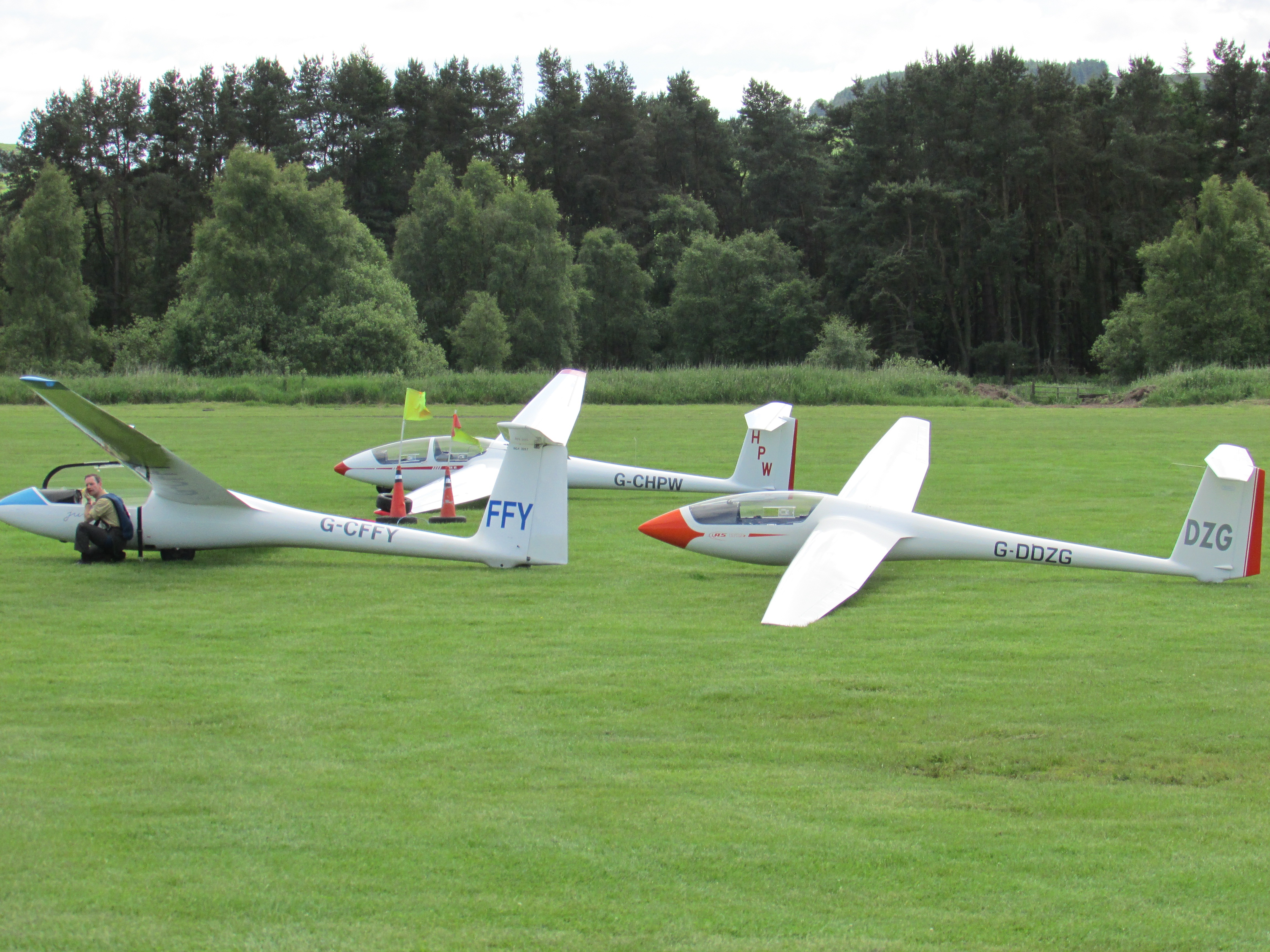 Gliders on green grass free image download