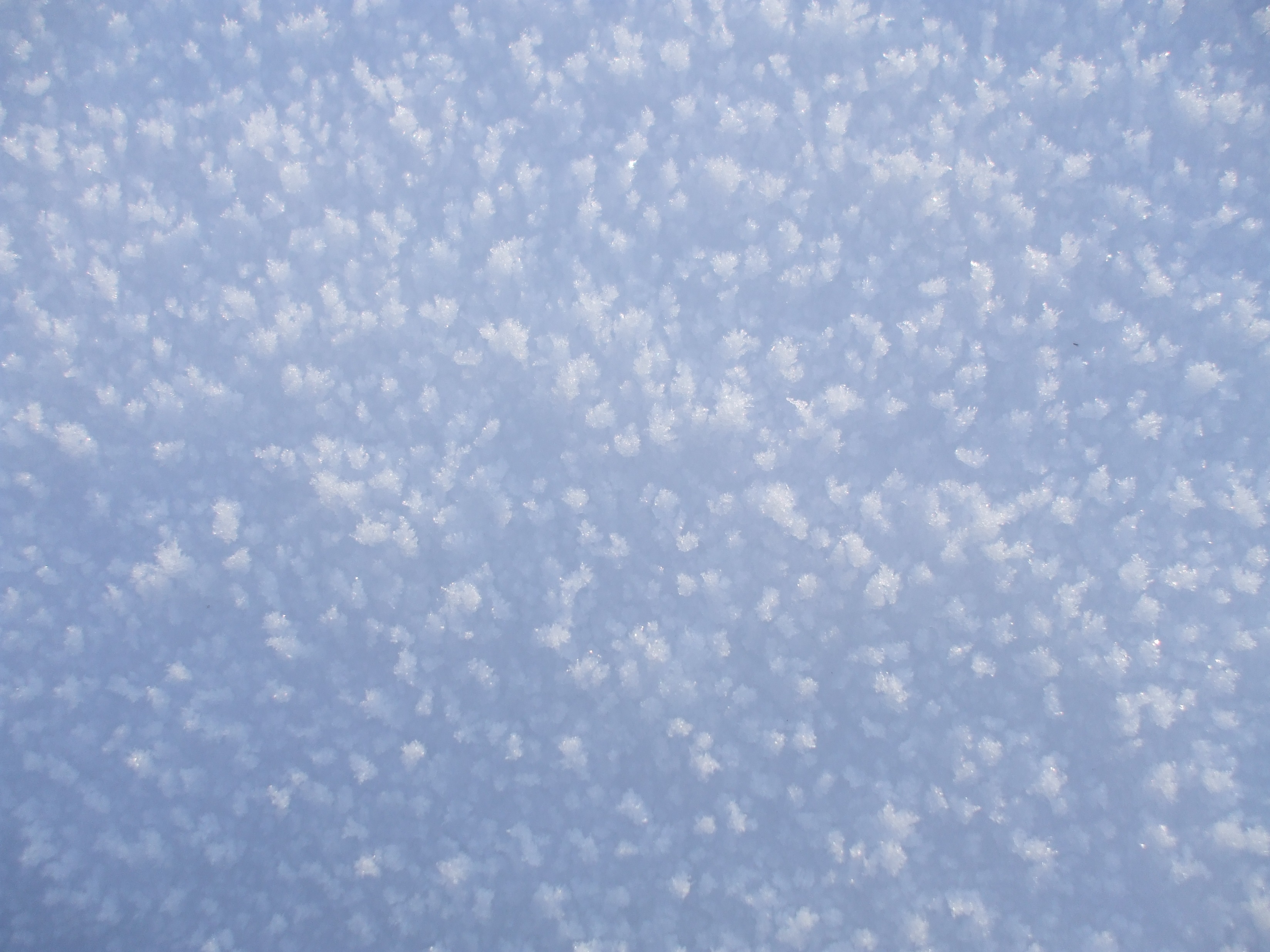 Snow Crystals Frozen free image download