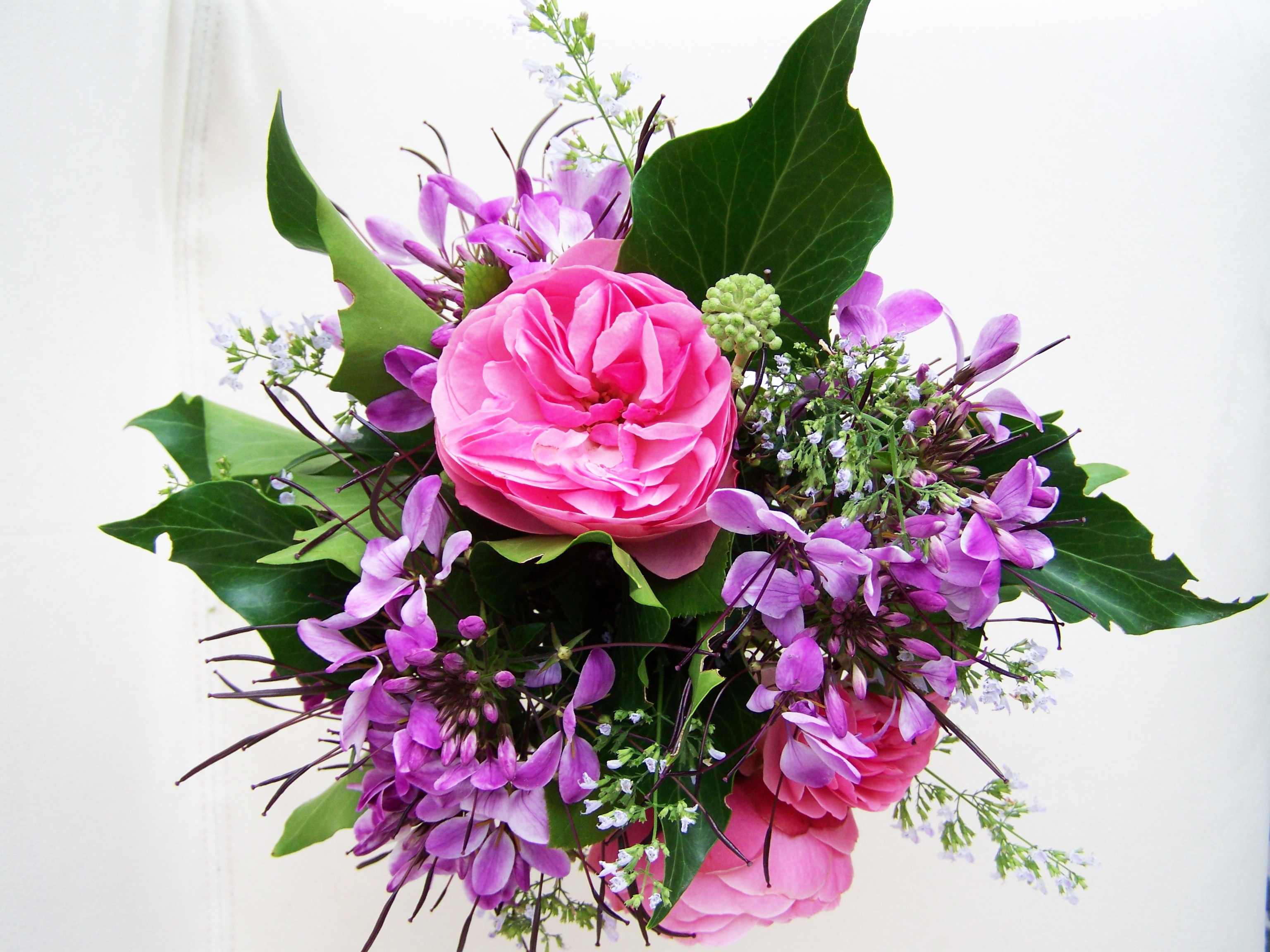 Bunch Of Flowers Color Cut free image download