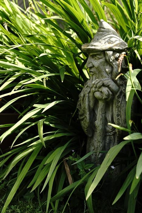 Wizard Green Ornimental free image download