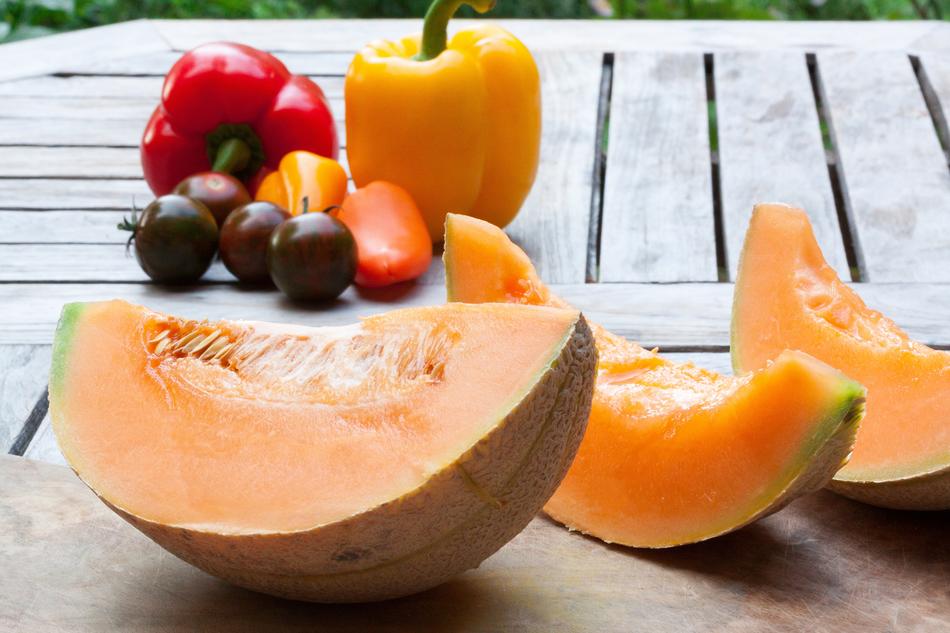 Melon Disc Knife free image download