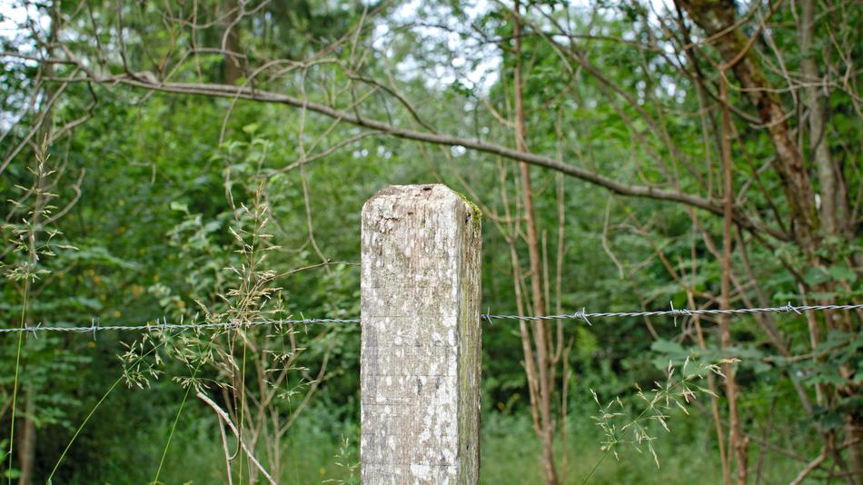 Wooden Posts Post Barbed Wire free image download