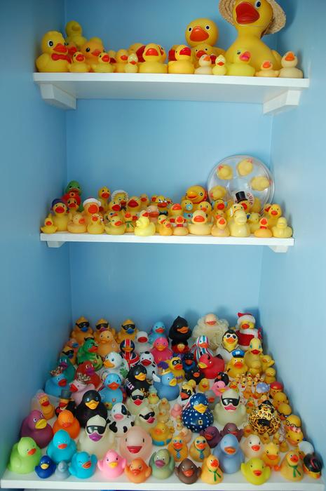 Rubber Duck Collection Yellow free image download
