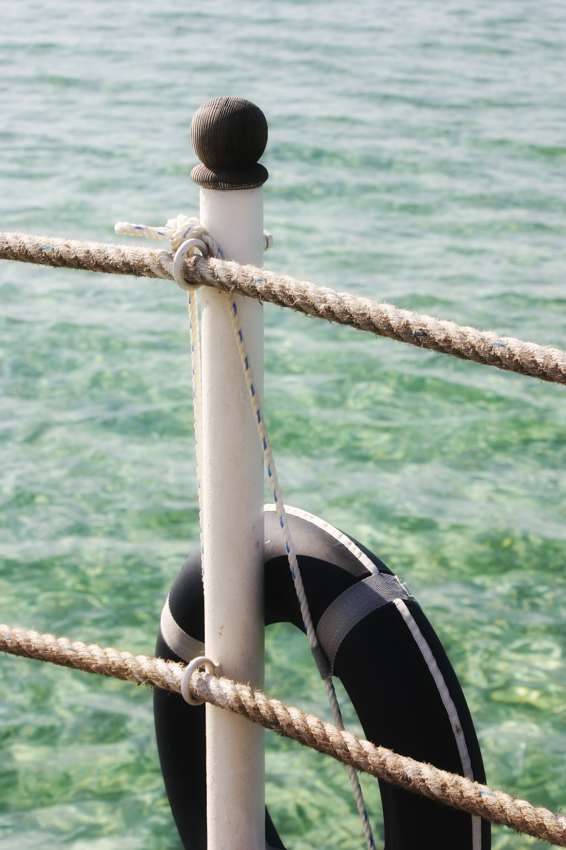 Sea Cypress Column free image download