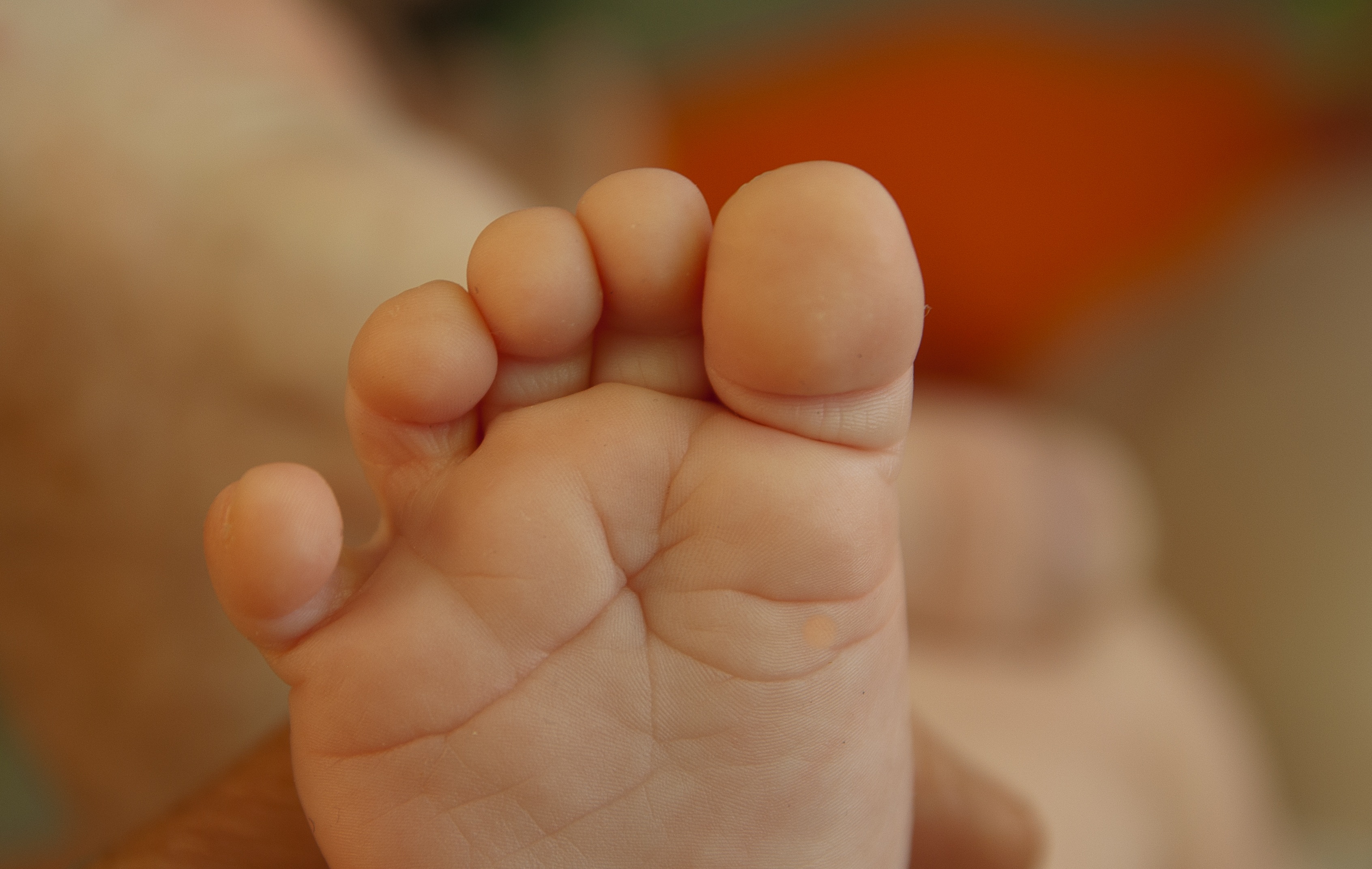 Foot Toes Baby free image download