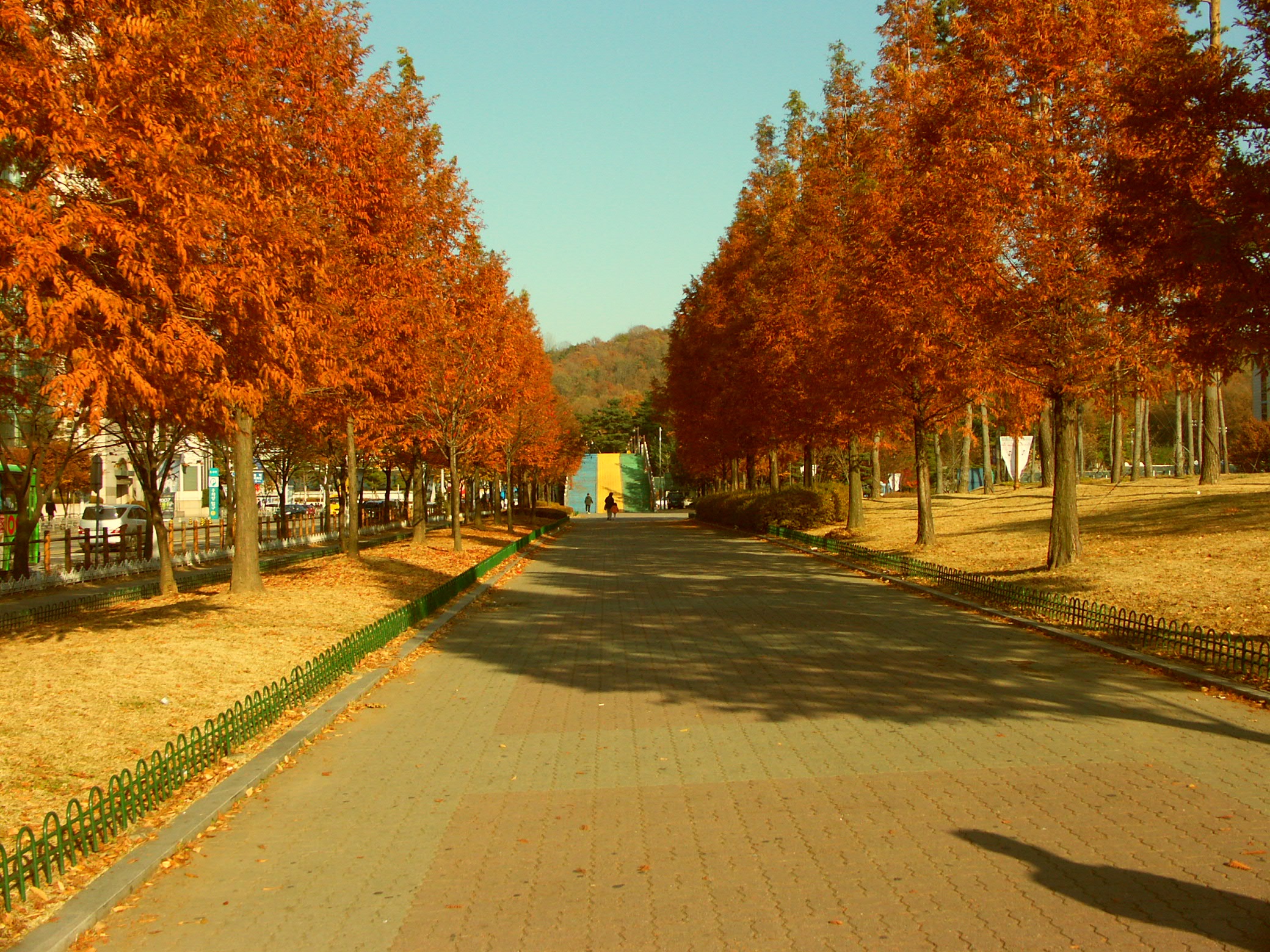 Autumn Park free image download