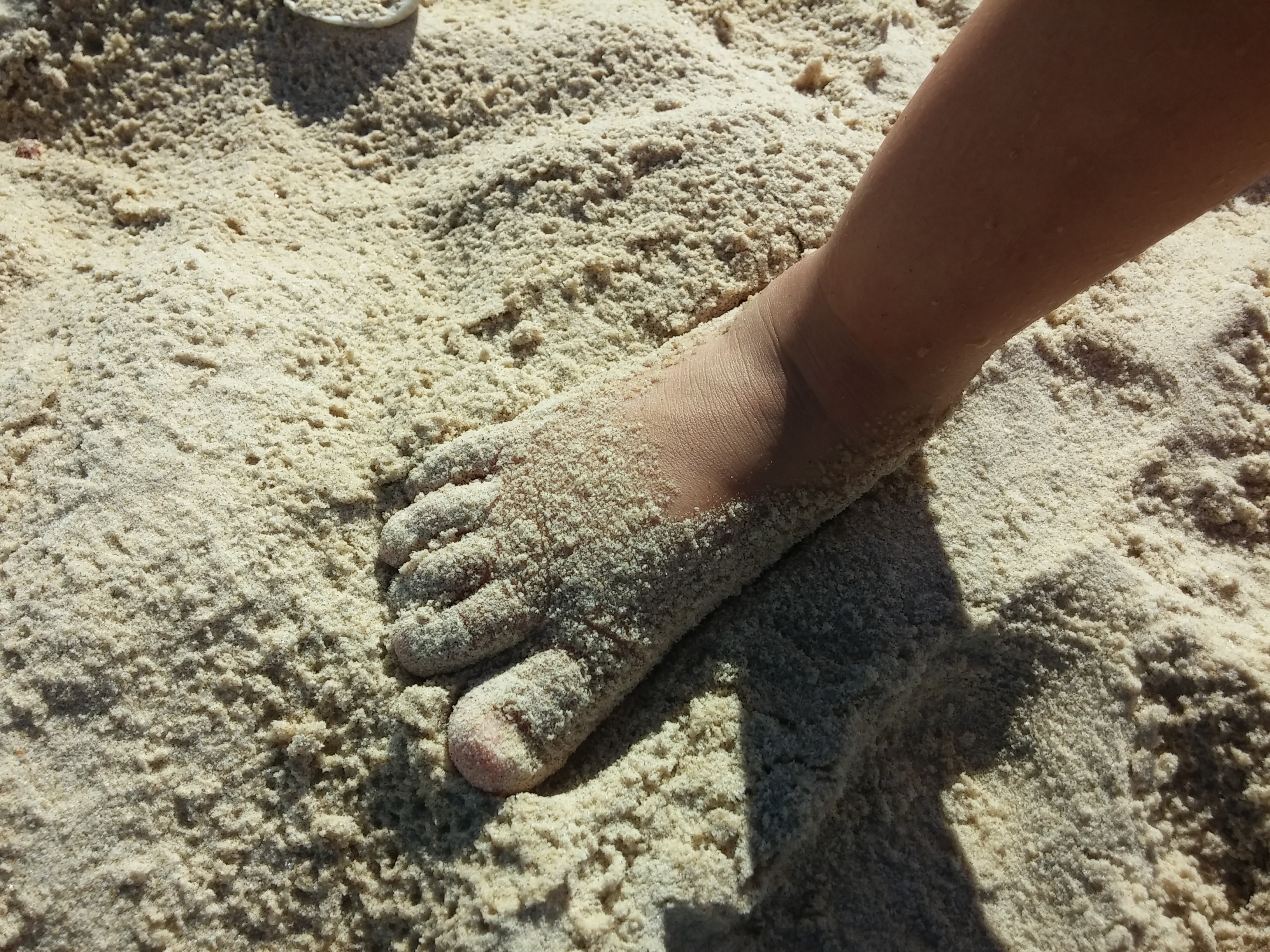 Toddler leg on Sand Beach free image download