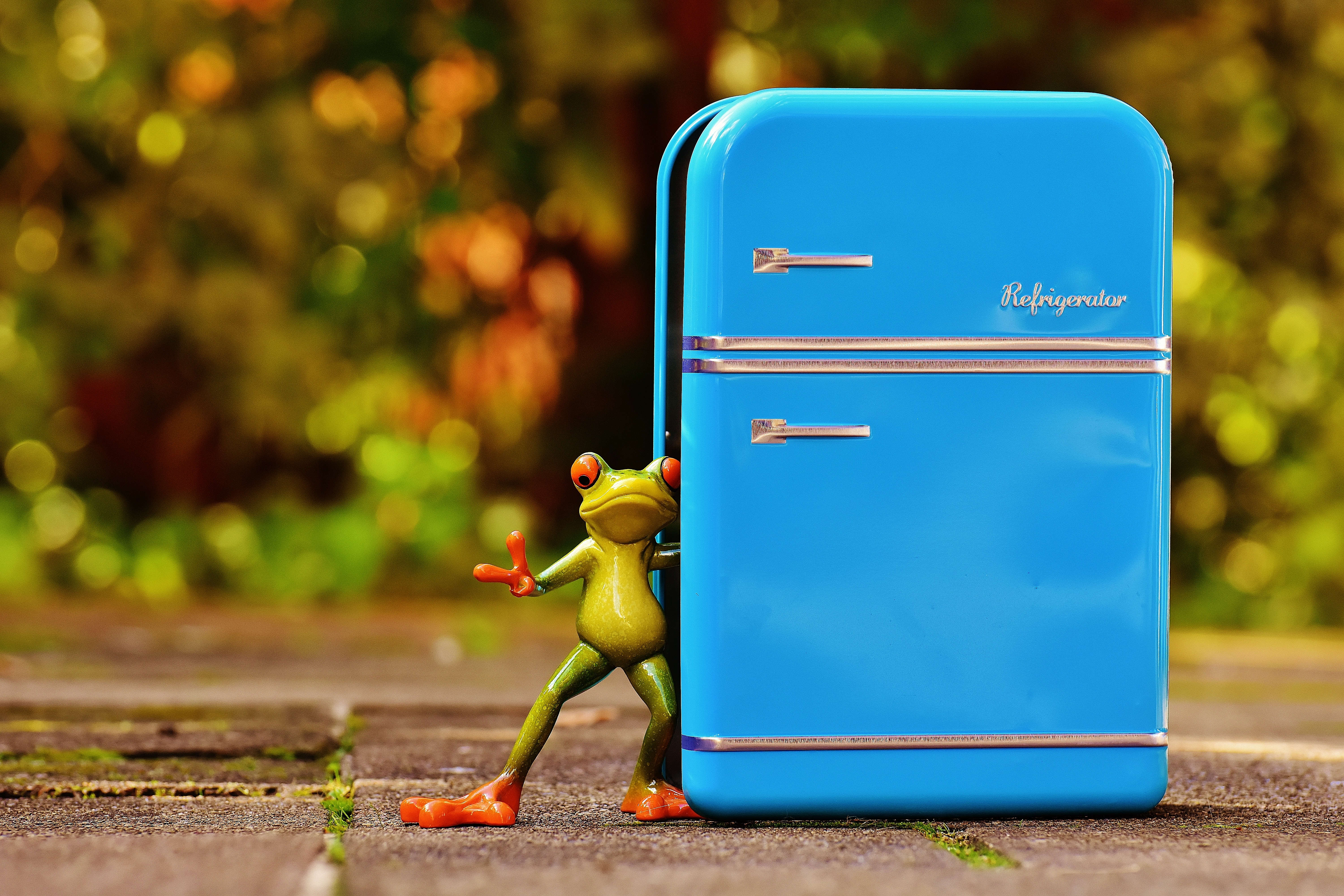 Frog Refrigerator Blue free image download