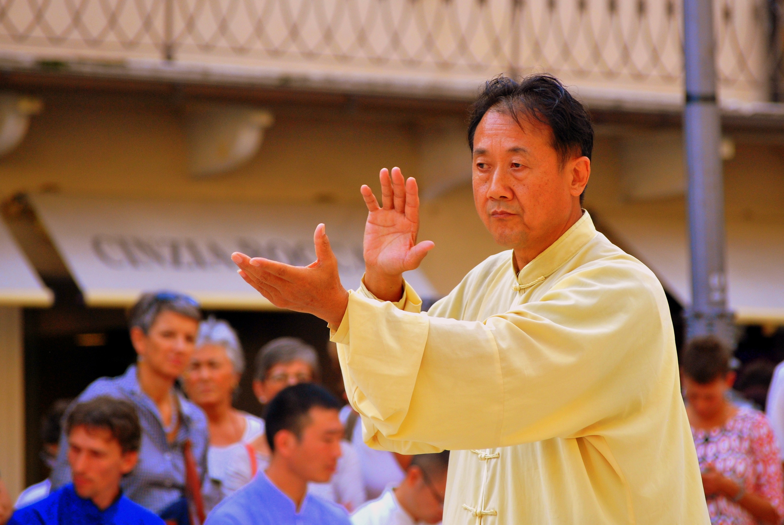 Tai Chi Taiji Martial Qi free image download