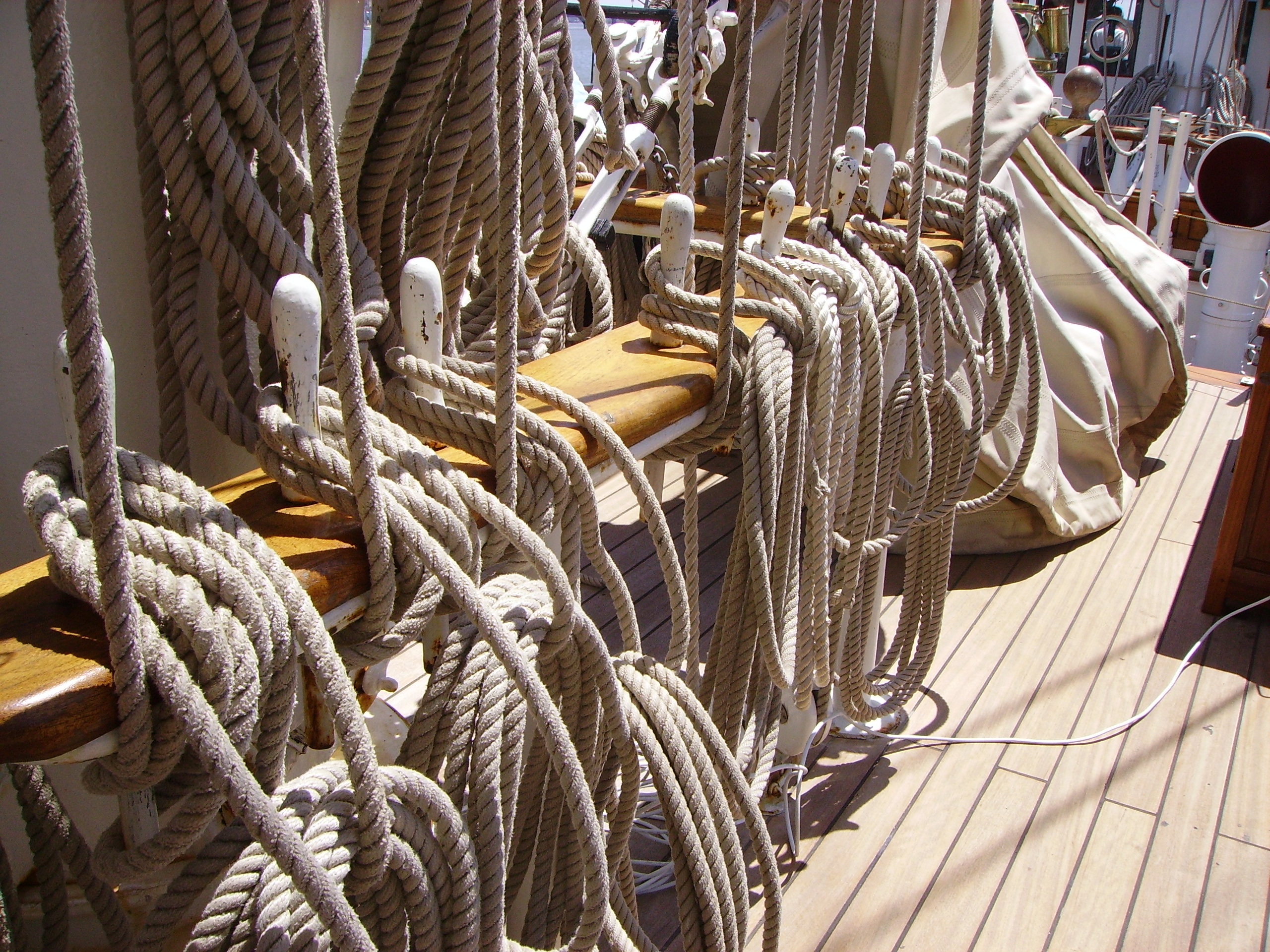 Boat Sailboat Wing free image download