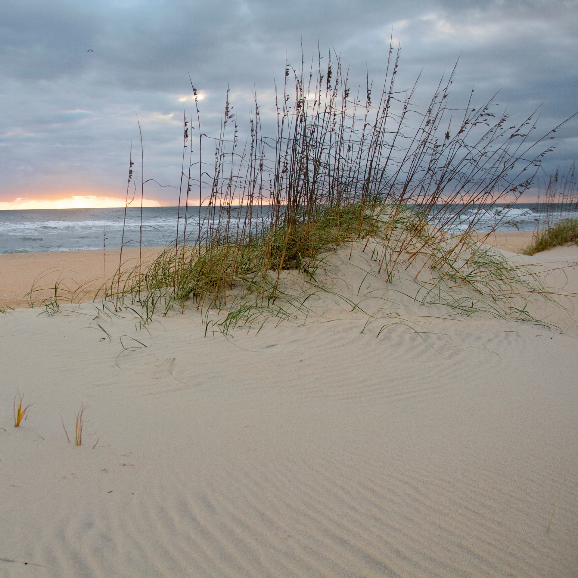 Beach Scene Sunset Dunes Sea free image download
