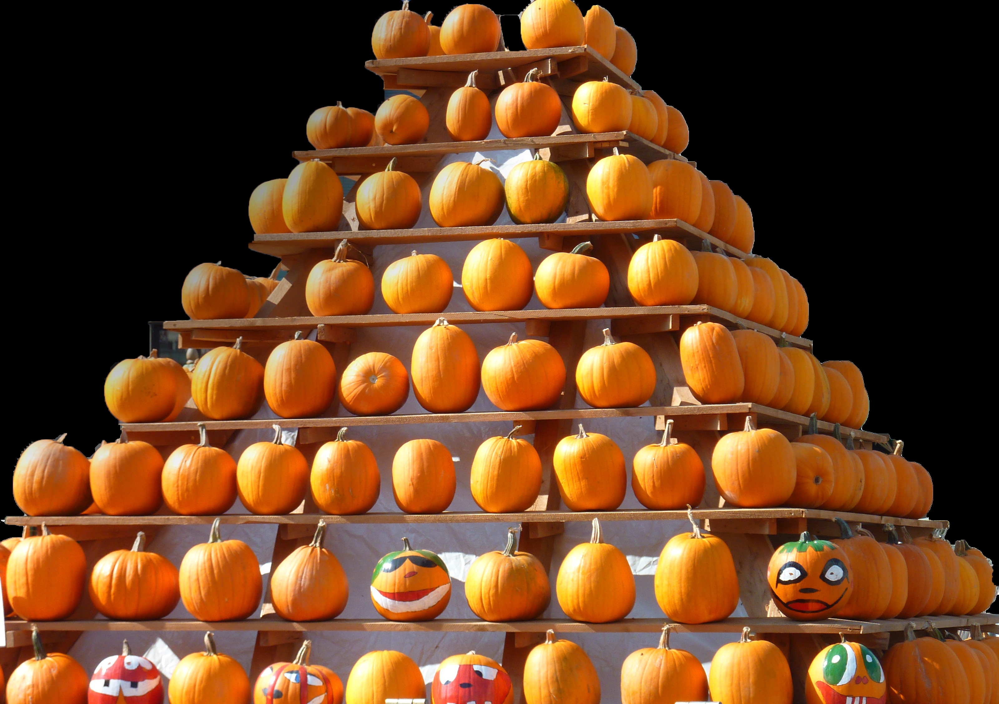 Pyramid of ripe pumpkins with a pattern free image download