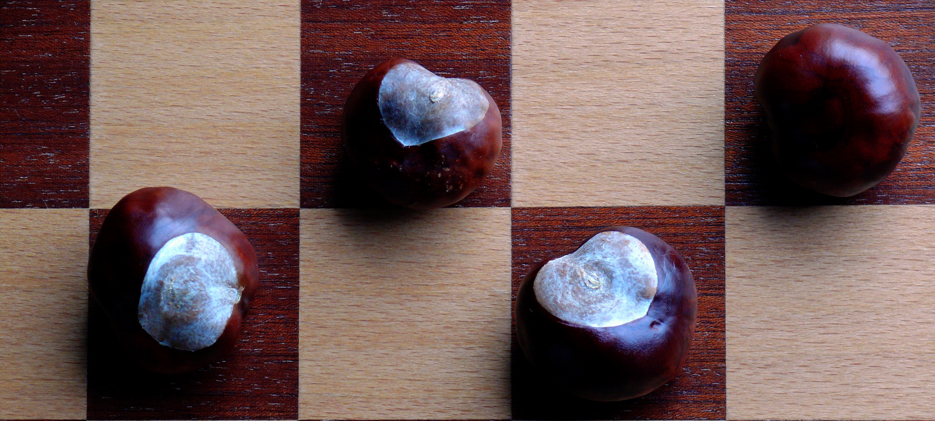Nuts chess checkers free image download