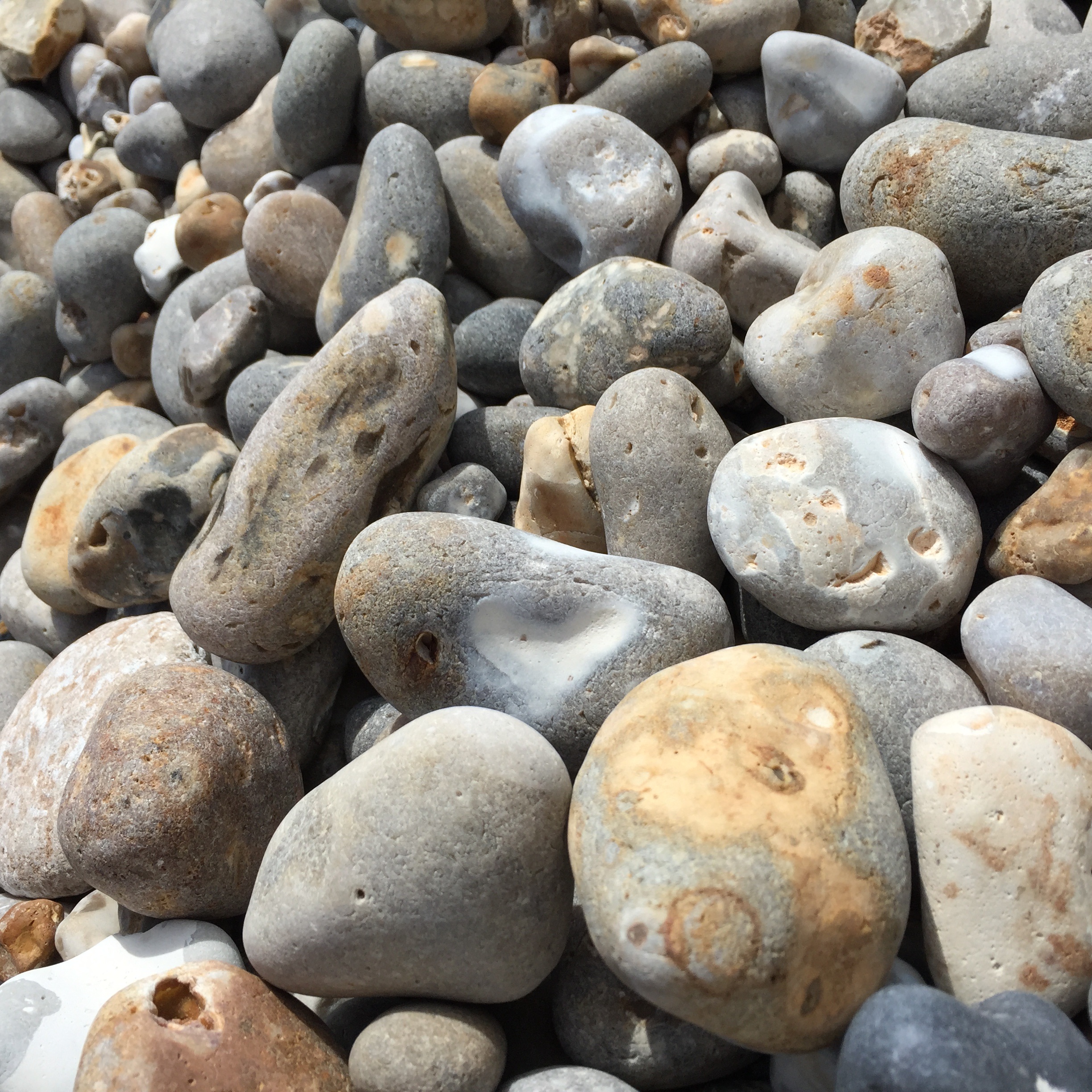 Beach Stones Nature free image download