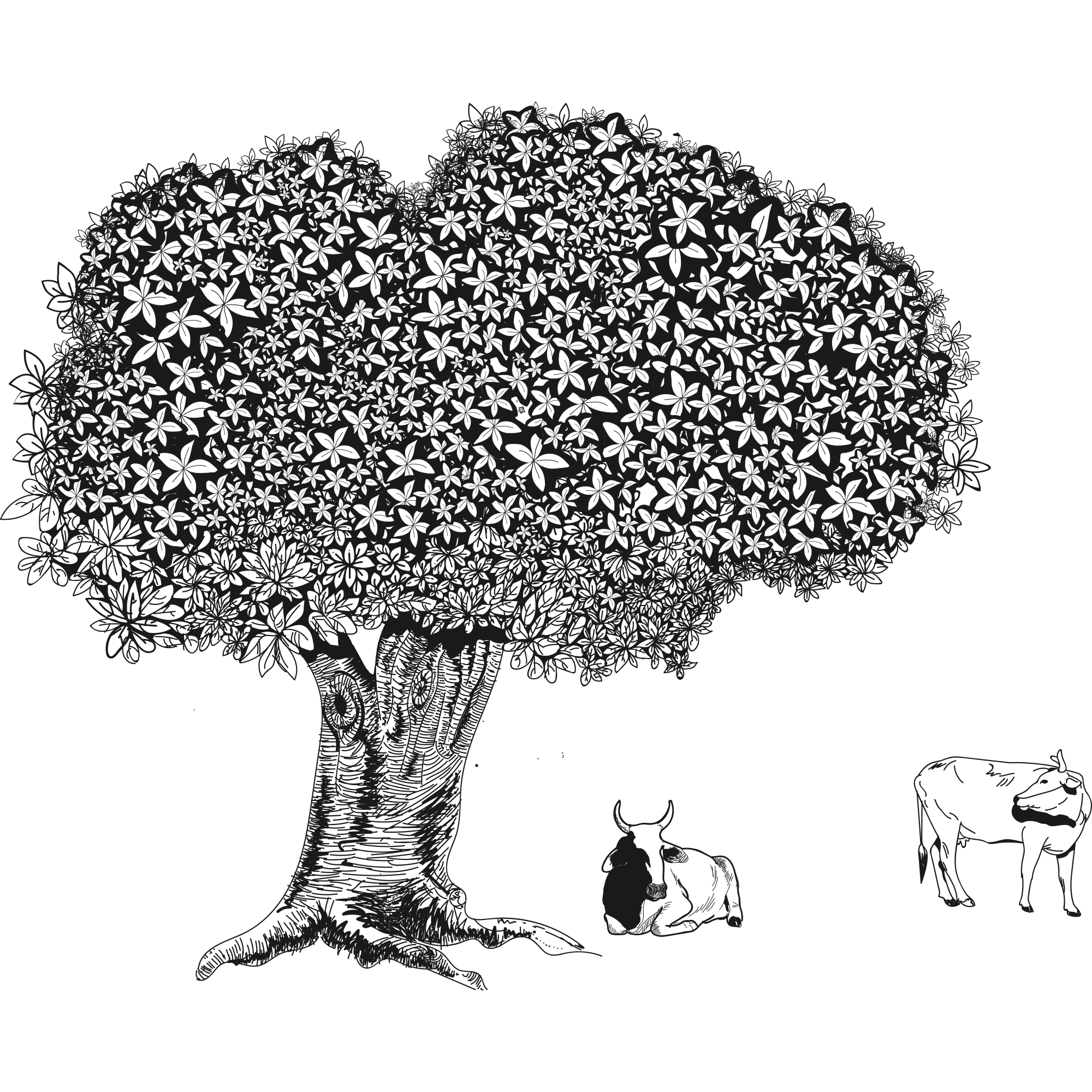 Tree deciduous tree flowers grass free image download